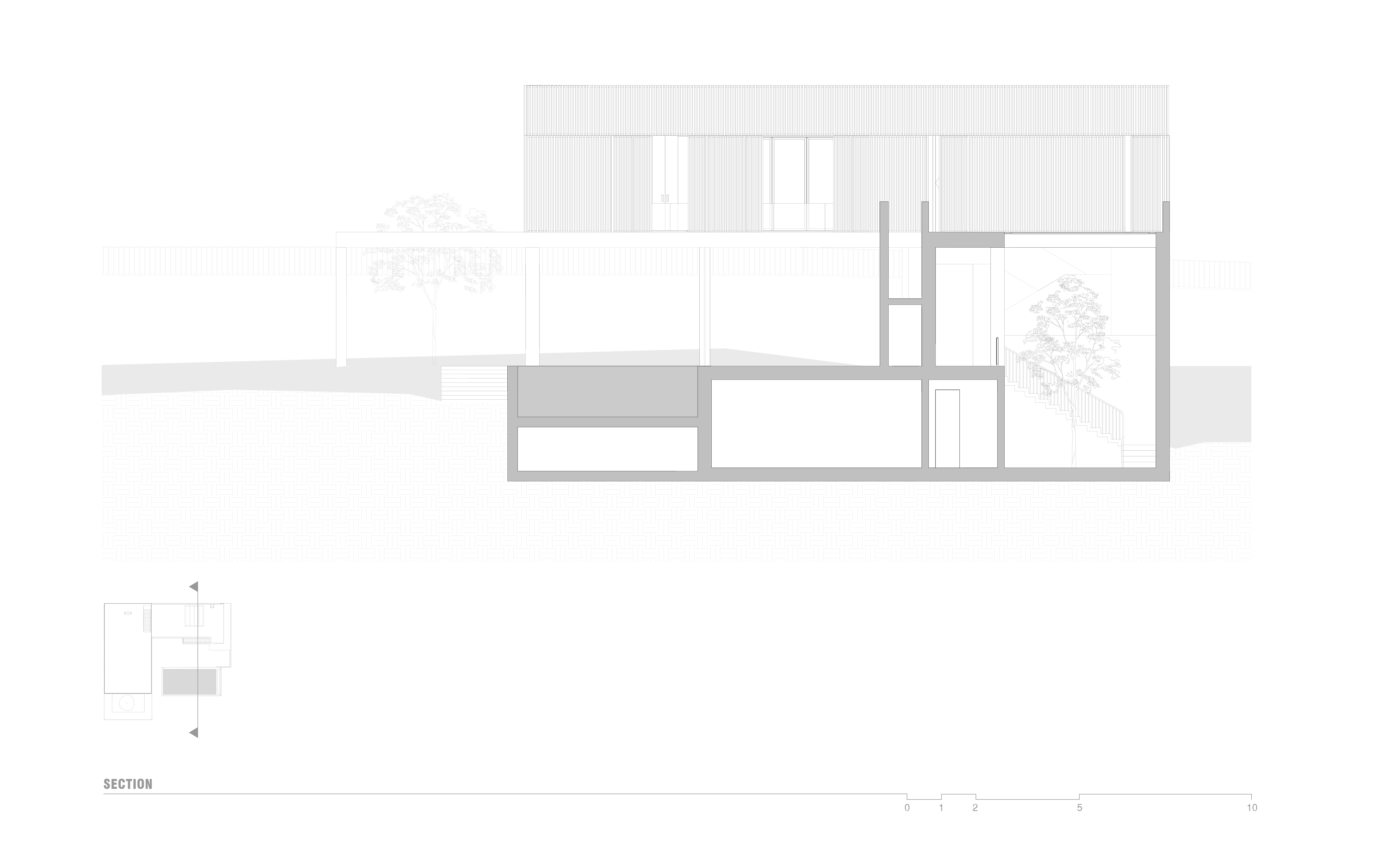 House around the tree by TIMM Architecture - Architizer