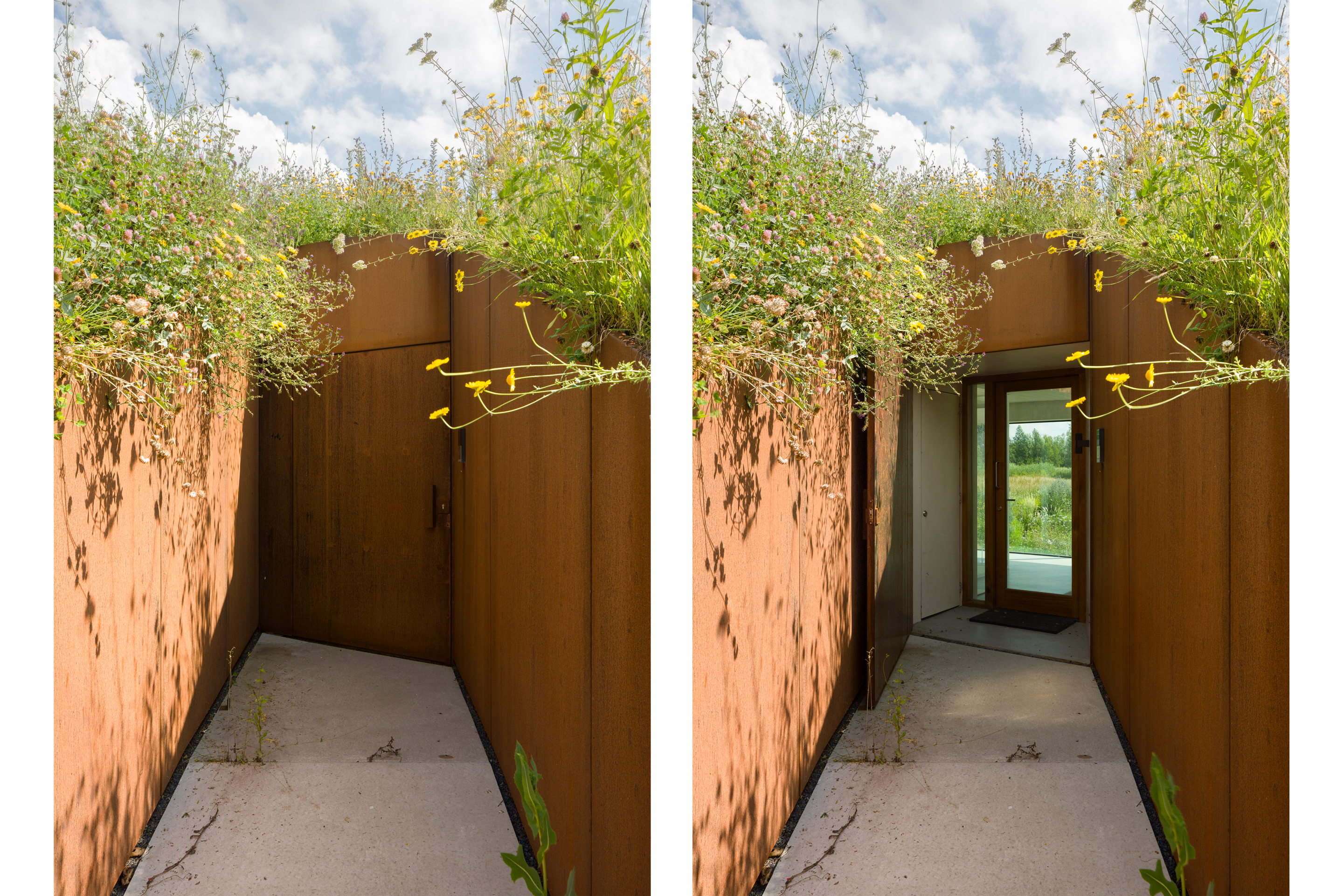 The House Under the Ground by WillemsenU - Architizer
