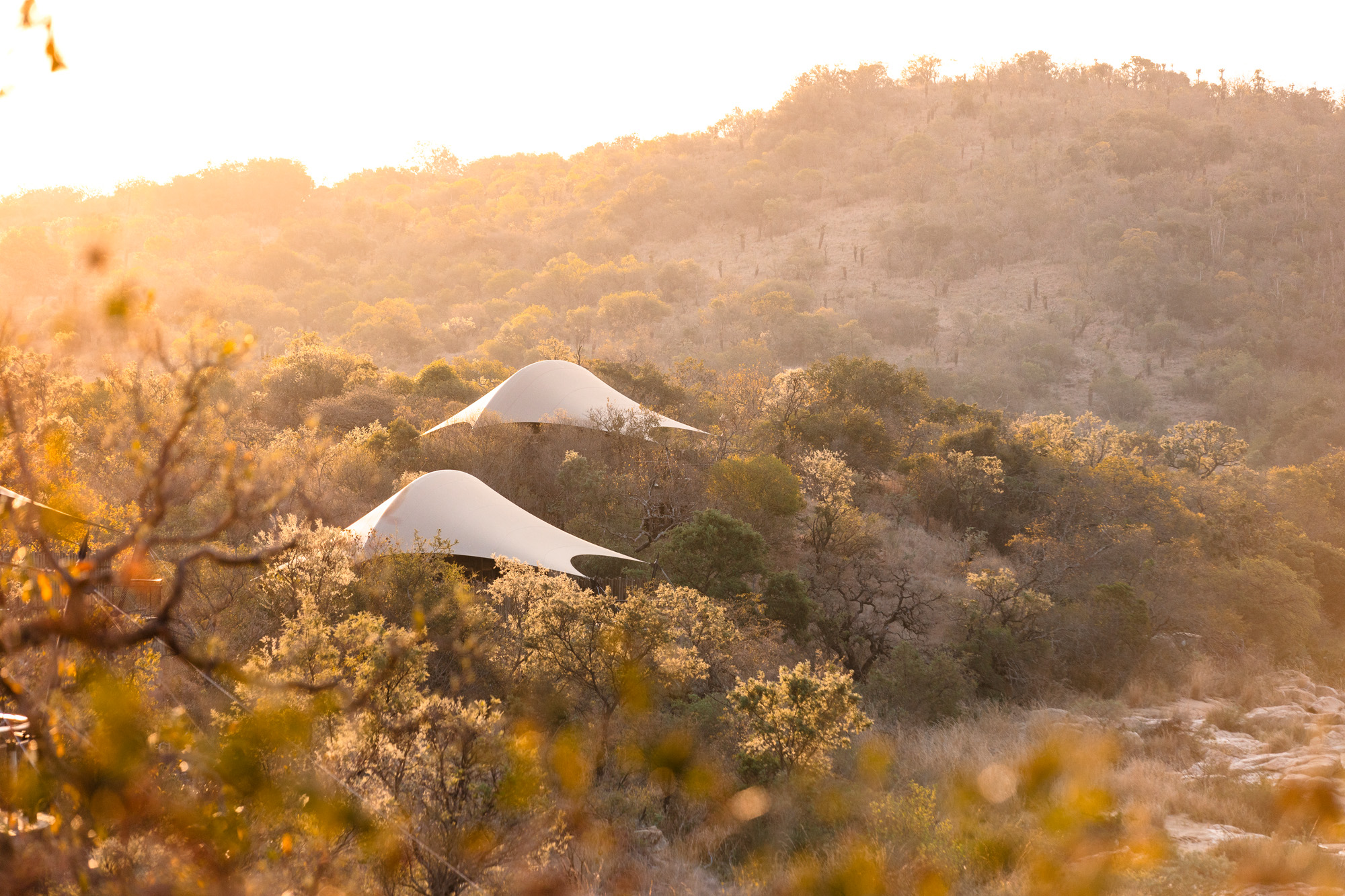 Madwaleni River Lodge by Luxury Frontiers - Architizer