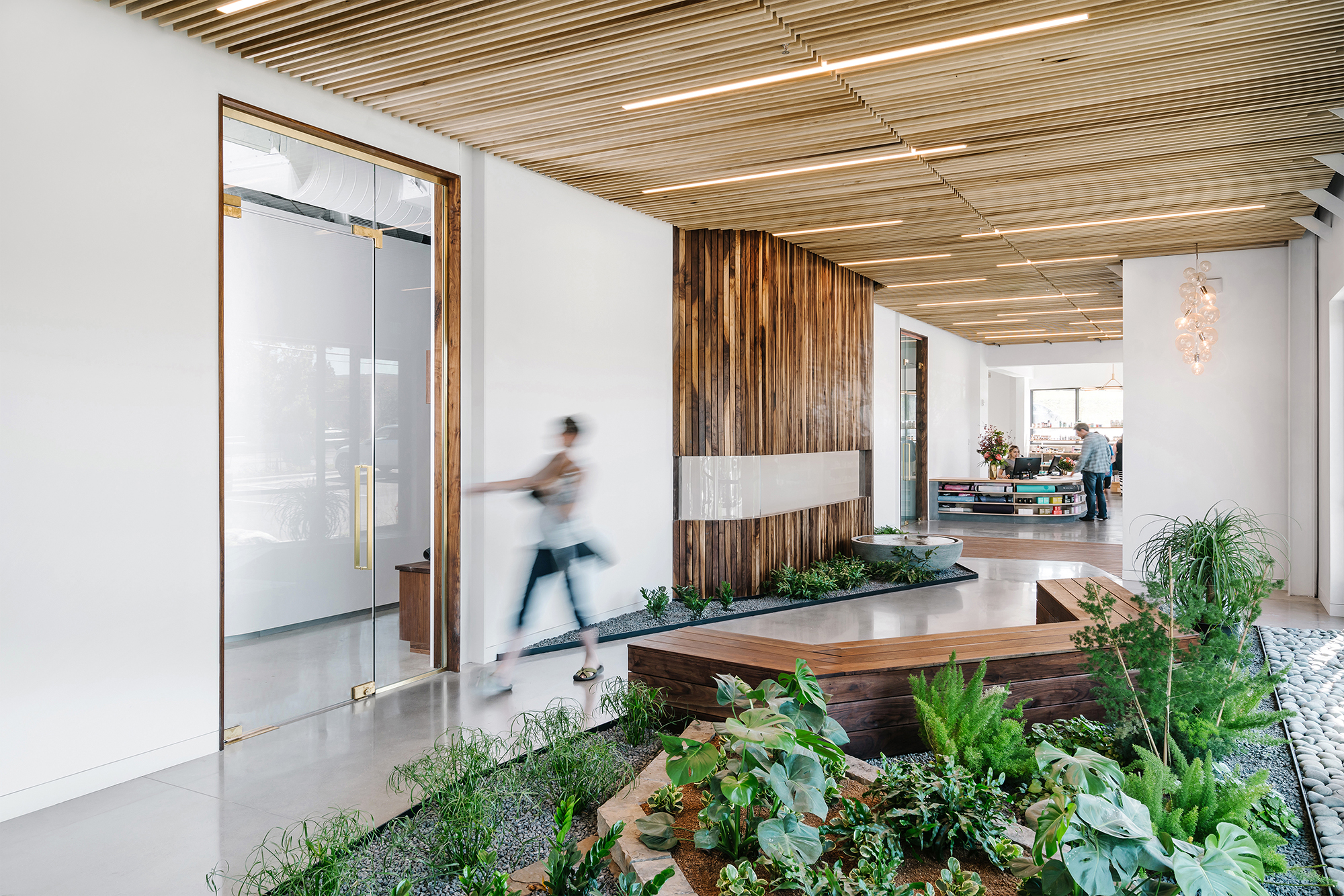 Alive + Well Austin by Matt Fajkus Architecture - Architizer
