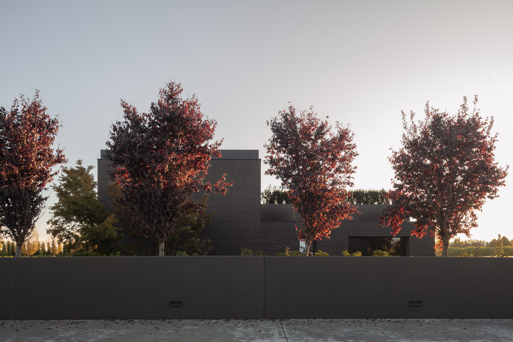 230_House in the park by MIDE architetti - Architizer