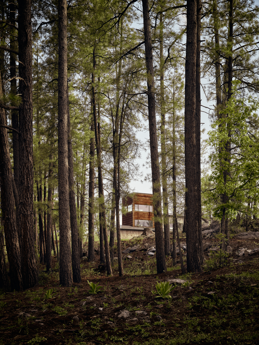 Malapai Tower House by The Ranch Mine - Architizer