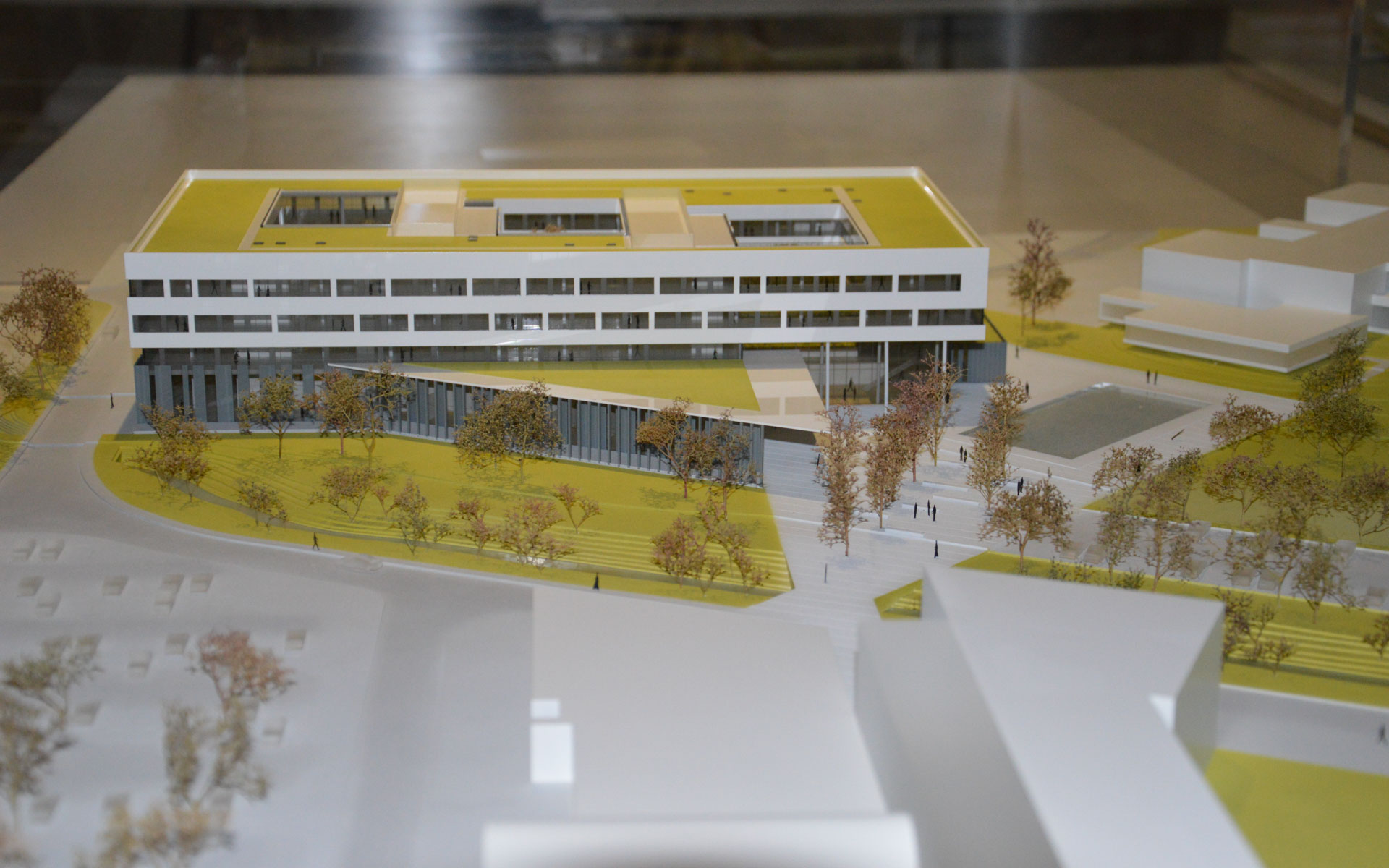 Institute of Neuroscience by Dietmar Feichtinger Architectes - Architizer