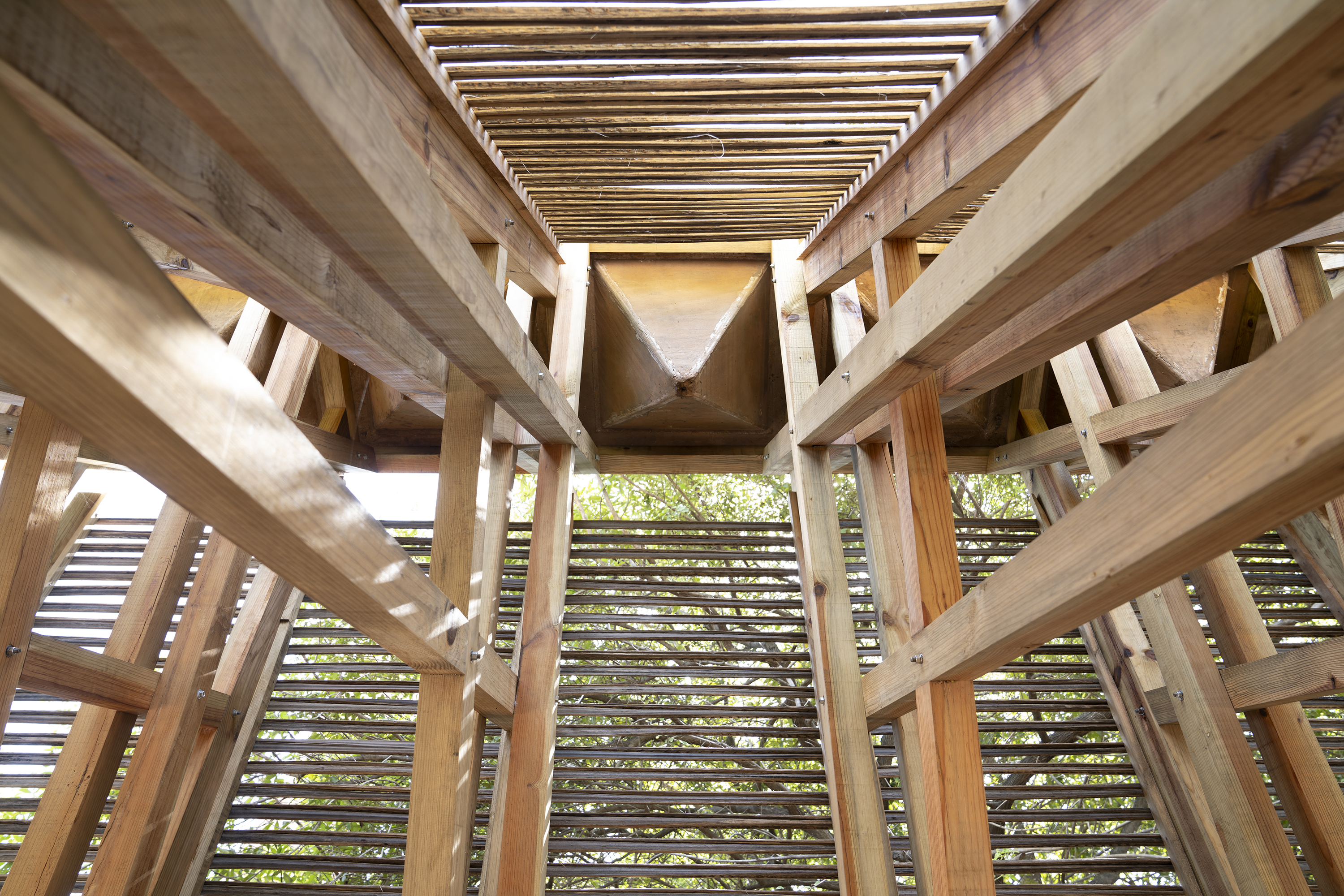 Orchid Pavilion by CCA | Bernardo Quinzaños - Architizer