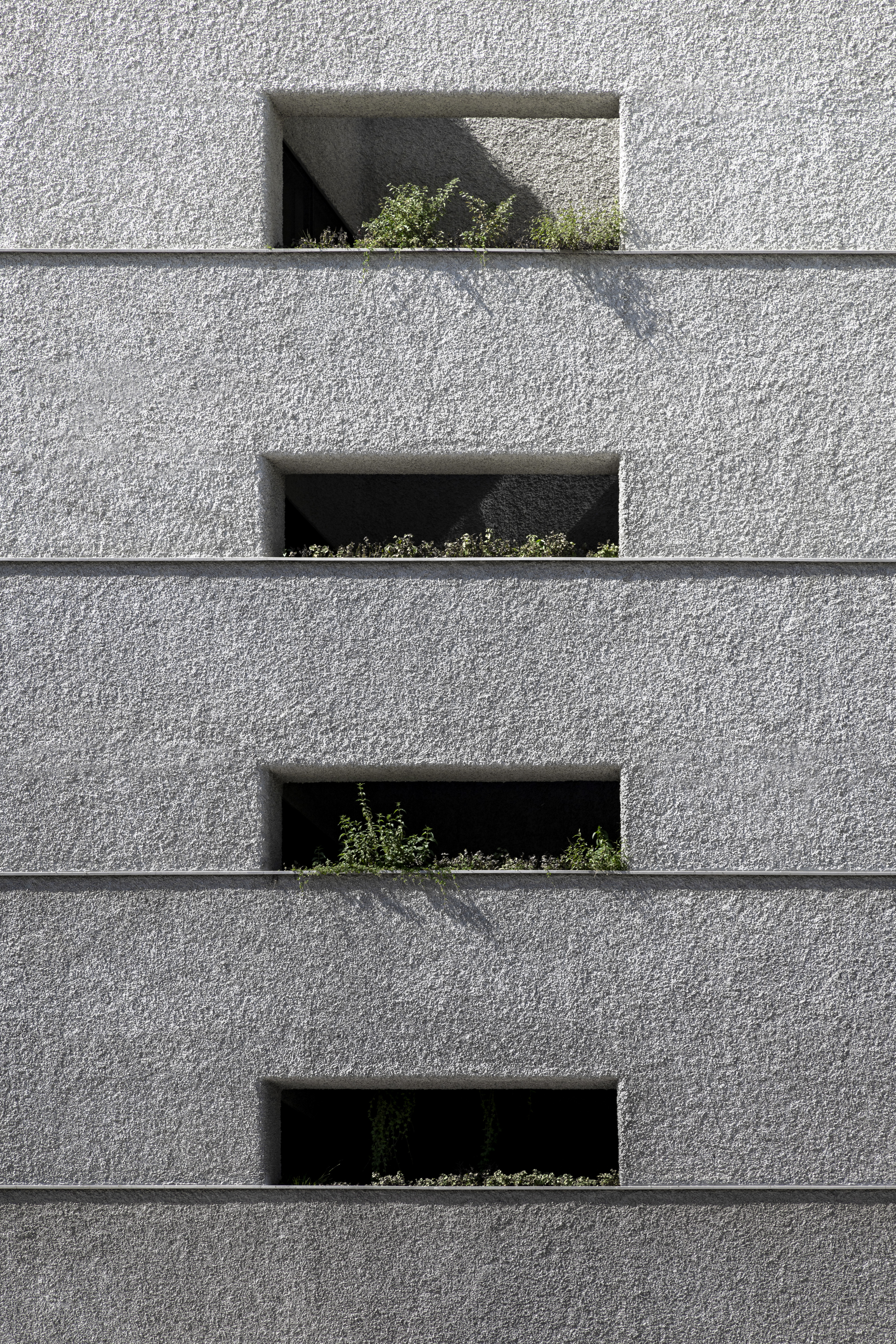 The Ribbon Project (Brazil) by Next Office - Architizer