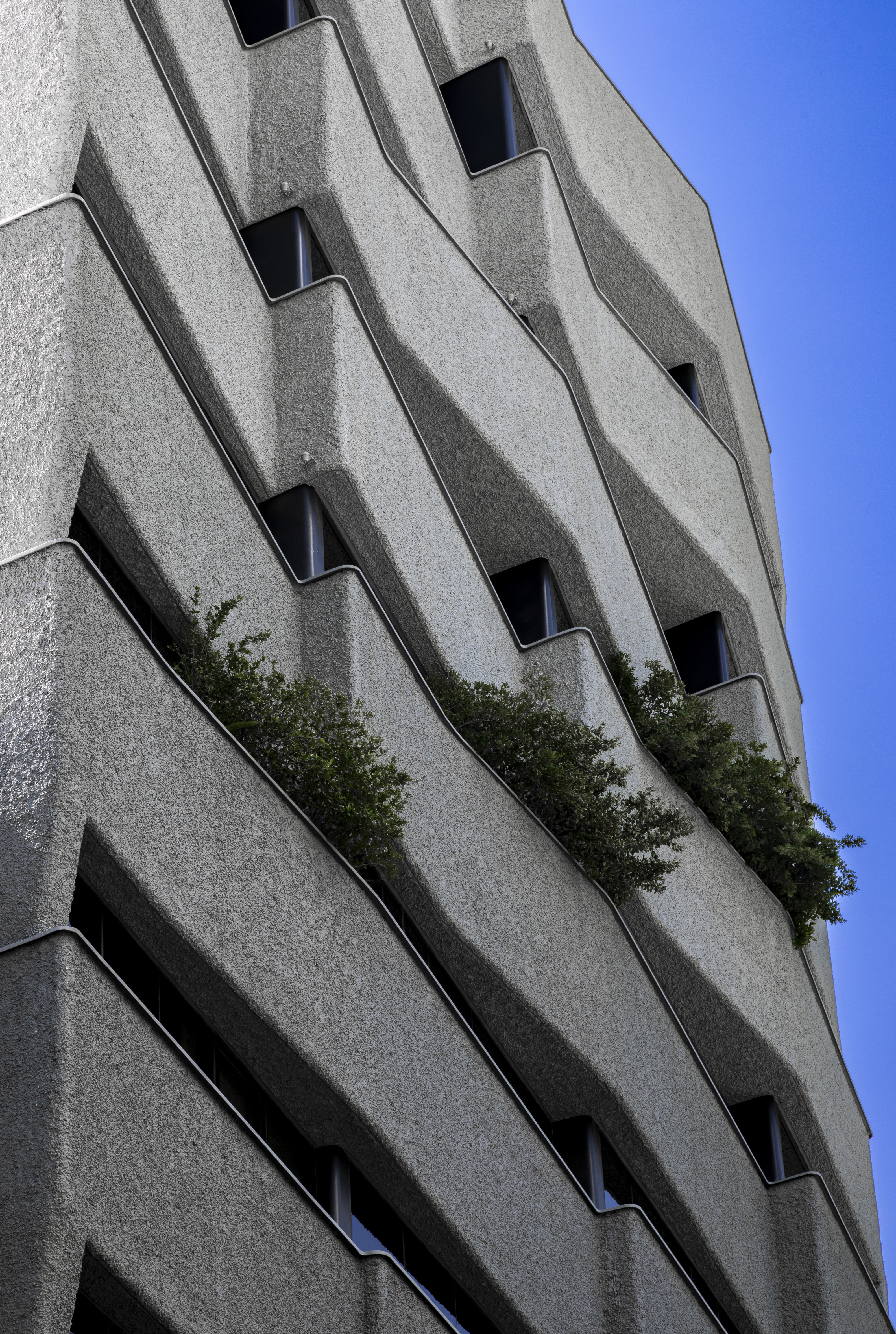 The Ribbon Project (Brazil) by Next Office - Architizer