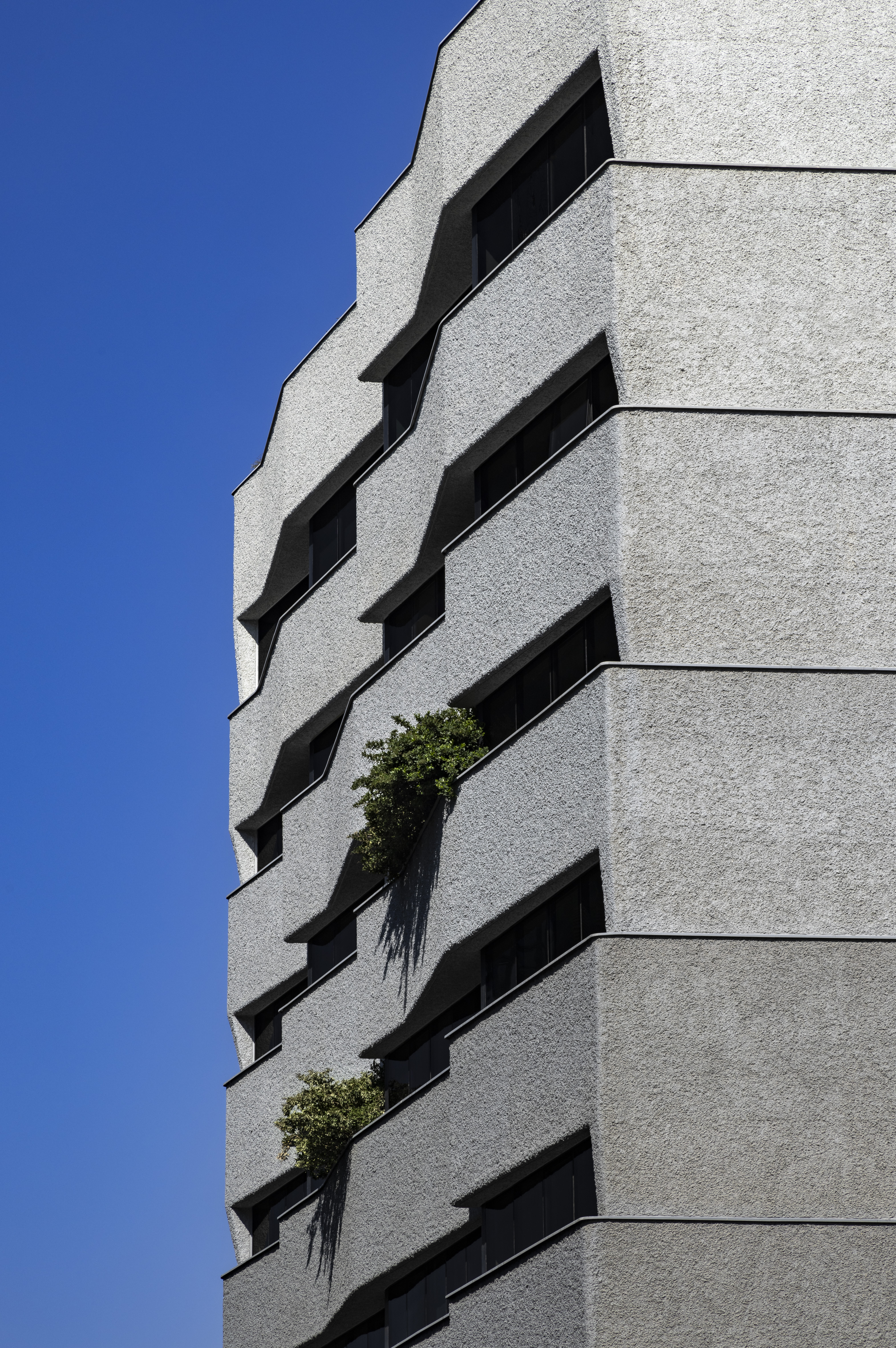 The Ribbon Project (Brazil) by Next Office - Architizer