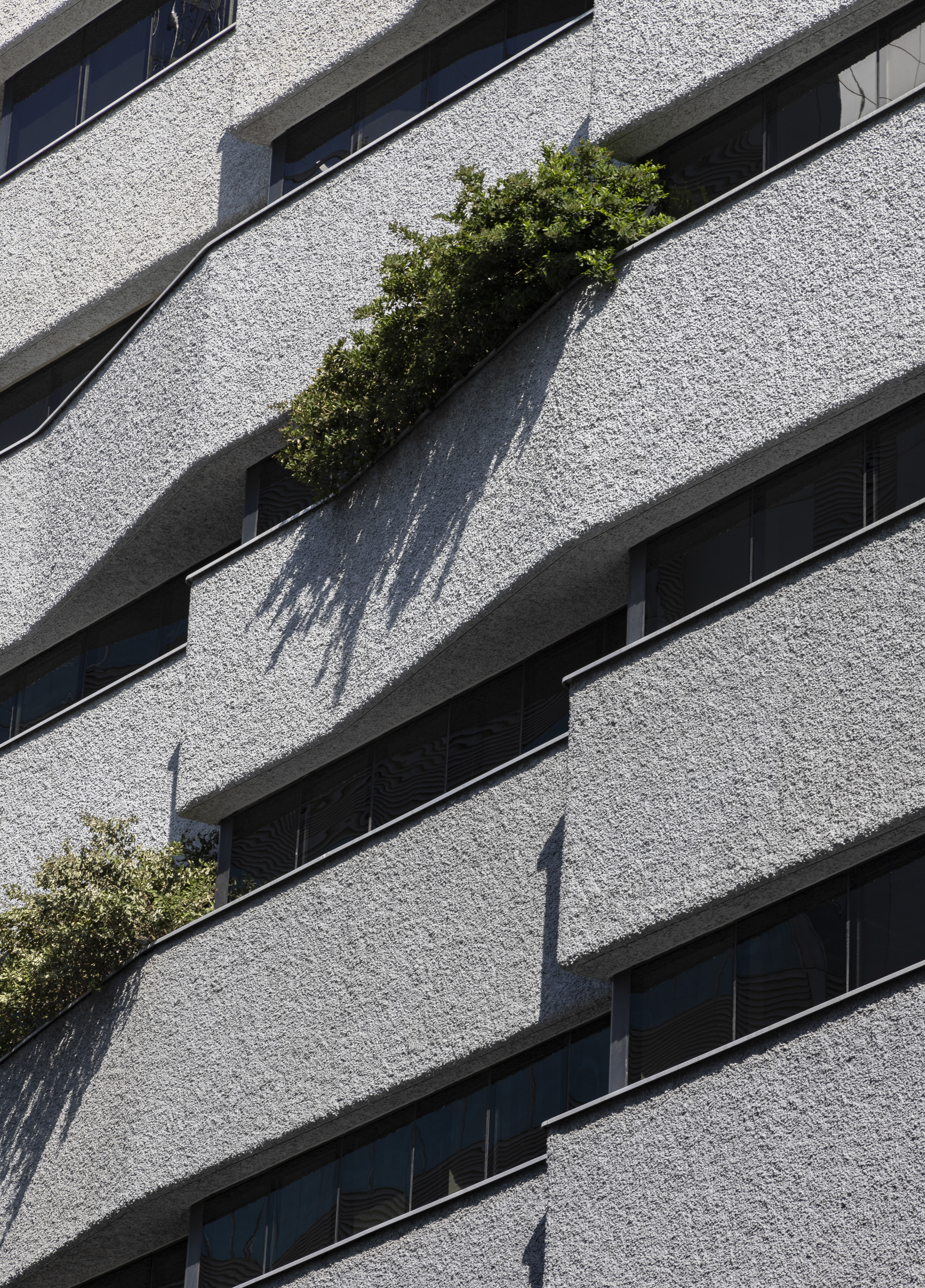 The Ribbon Project (Brazil) by Next Office - Architizer