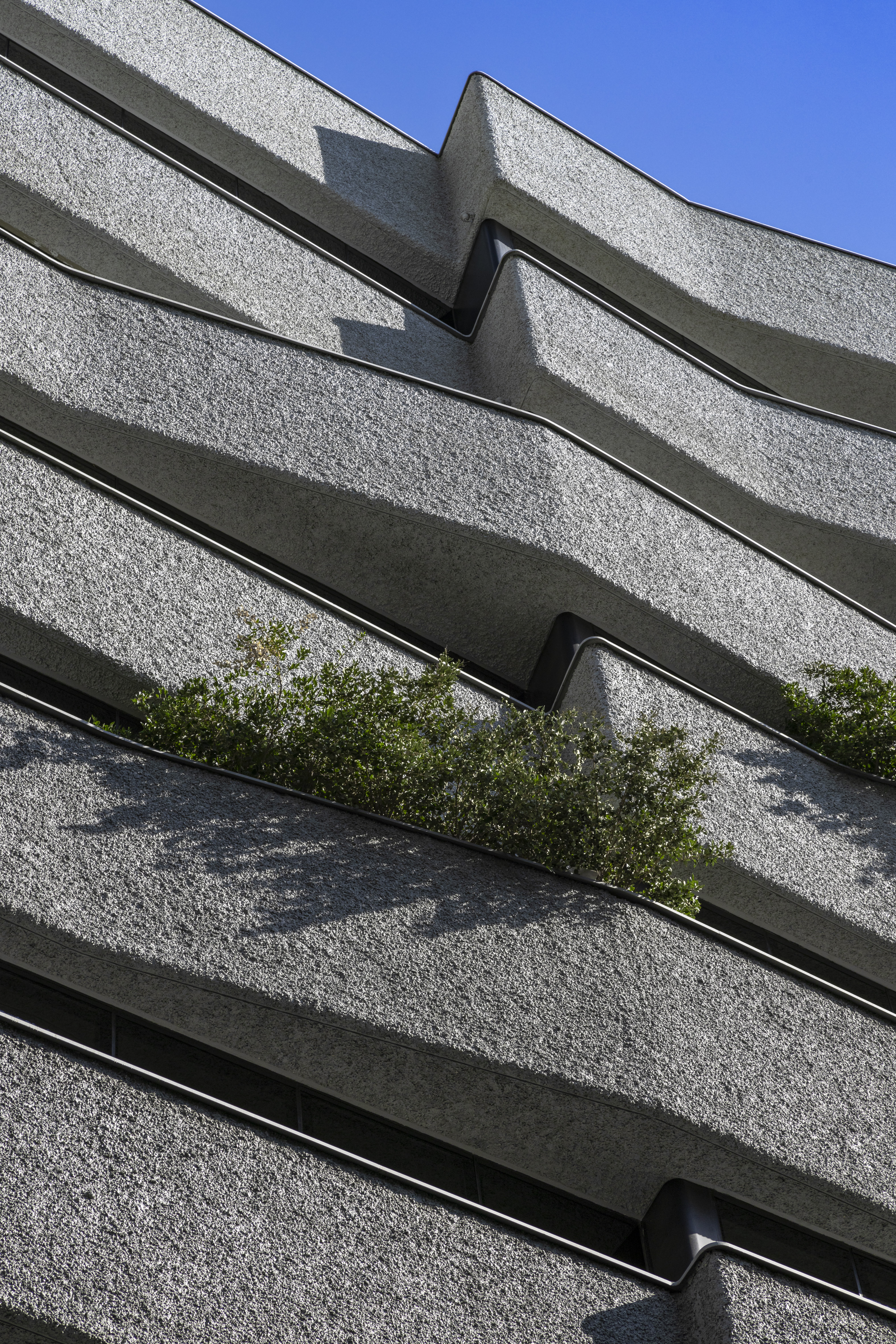 The Ribbon Project (Brazil) by Next Office - Architizer