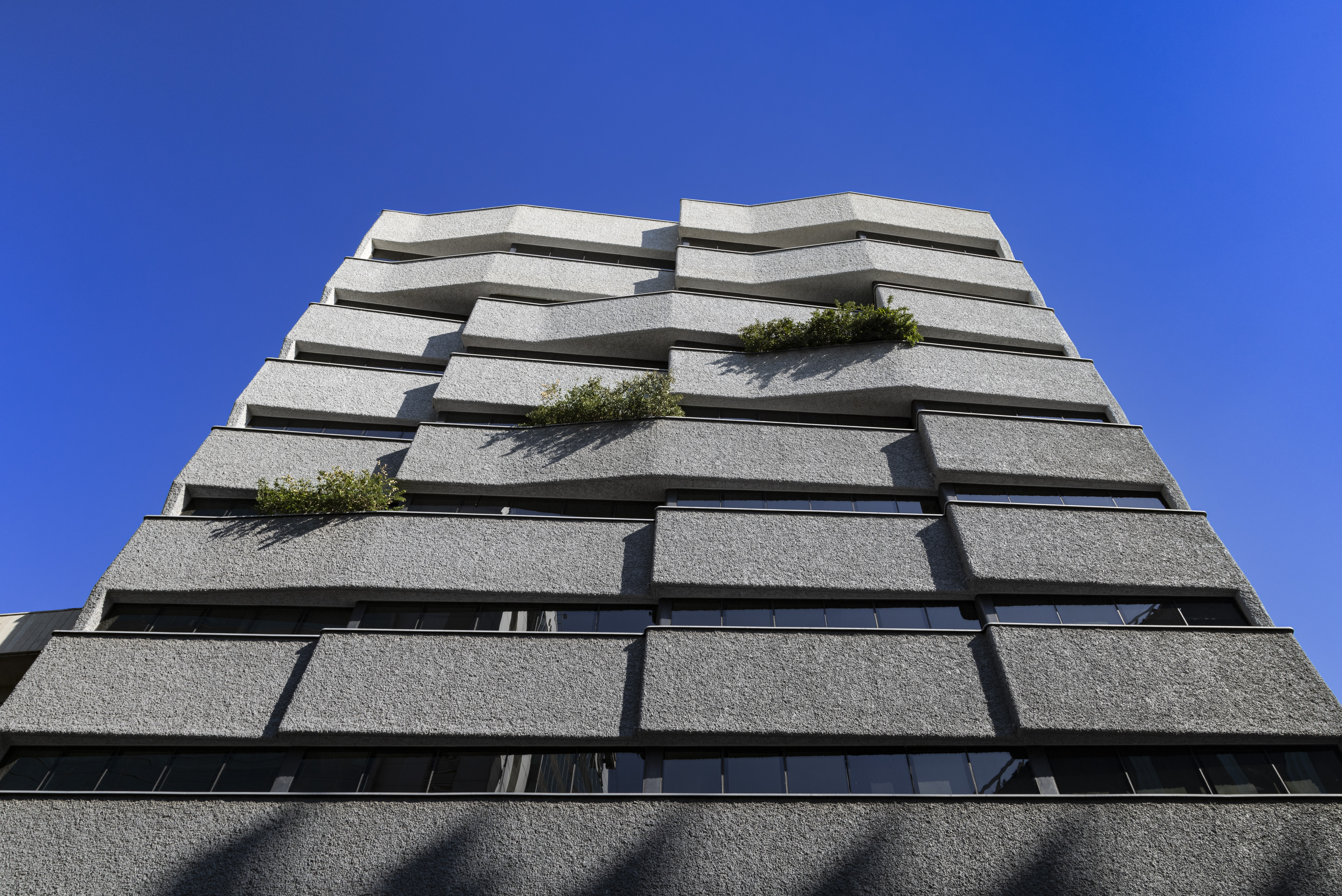 The Ribbon Project (Brazil) by Next Office - Architizer