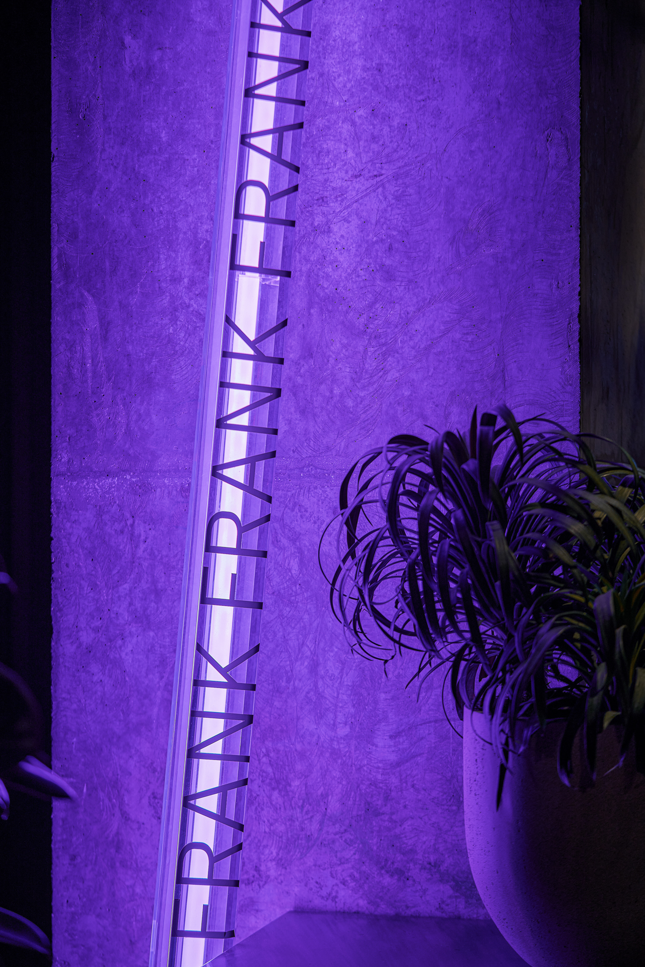 FRANK restaurant by DA bureau - Architizer