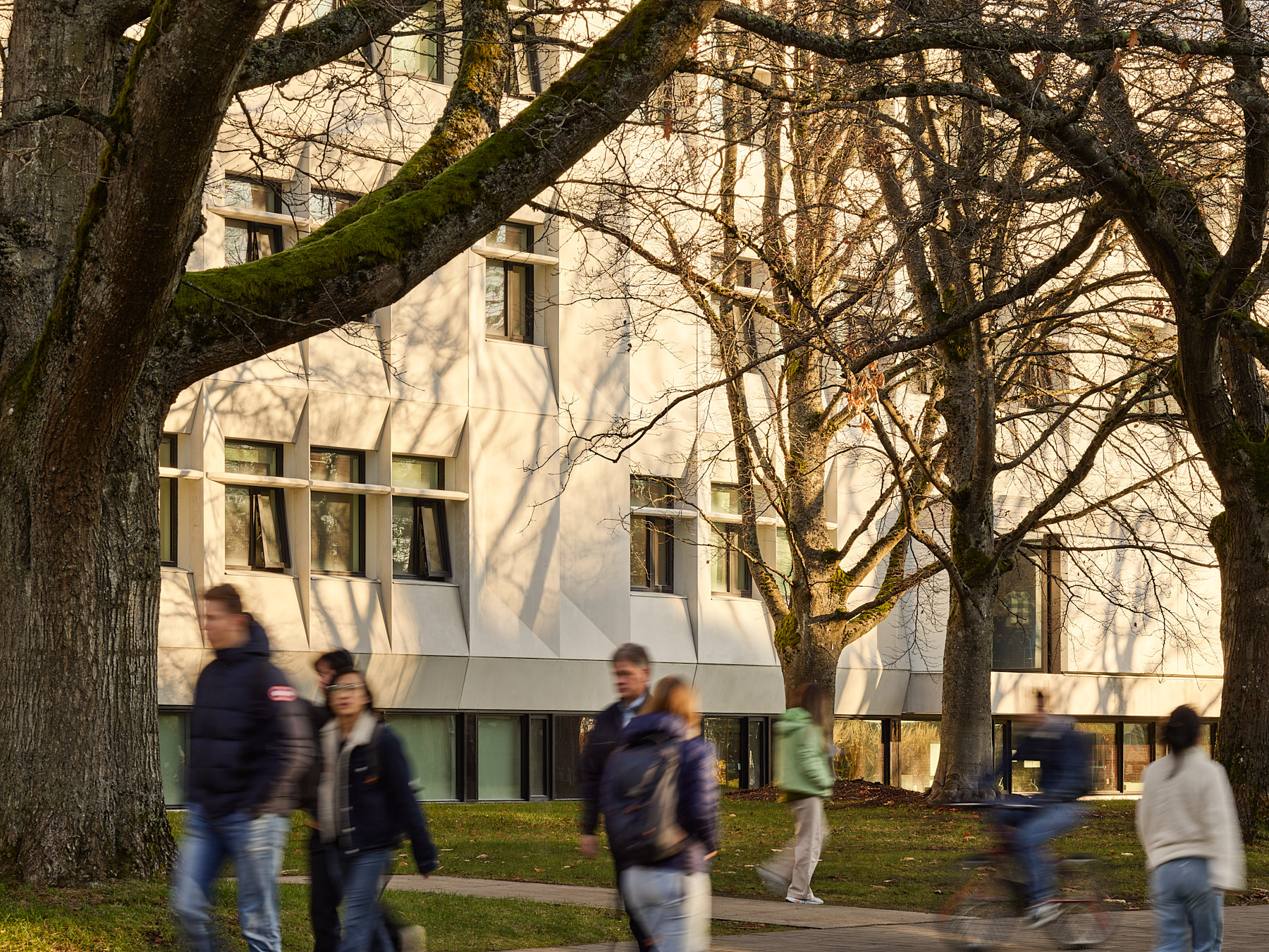 UBC MacLeod Renewal by Teeple Architects - Architizer