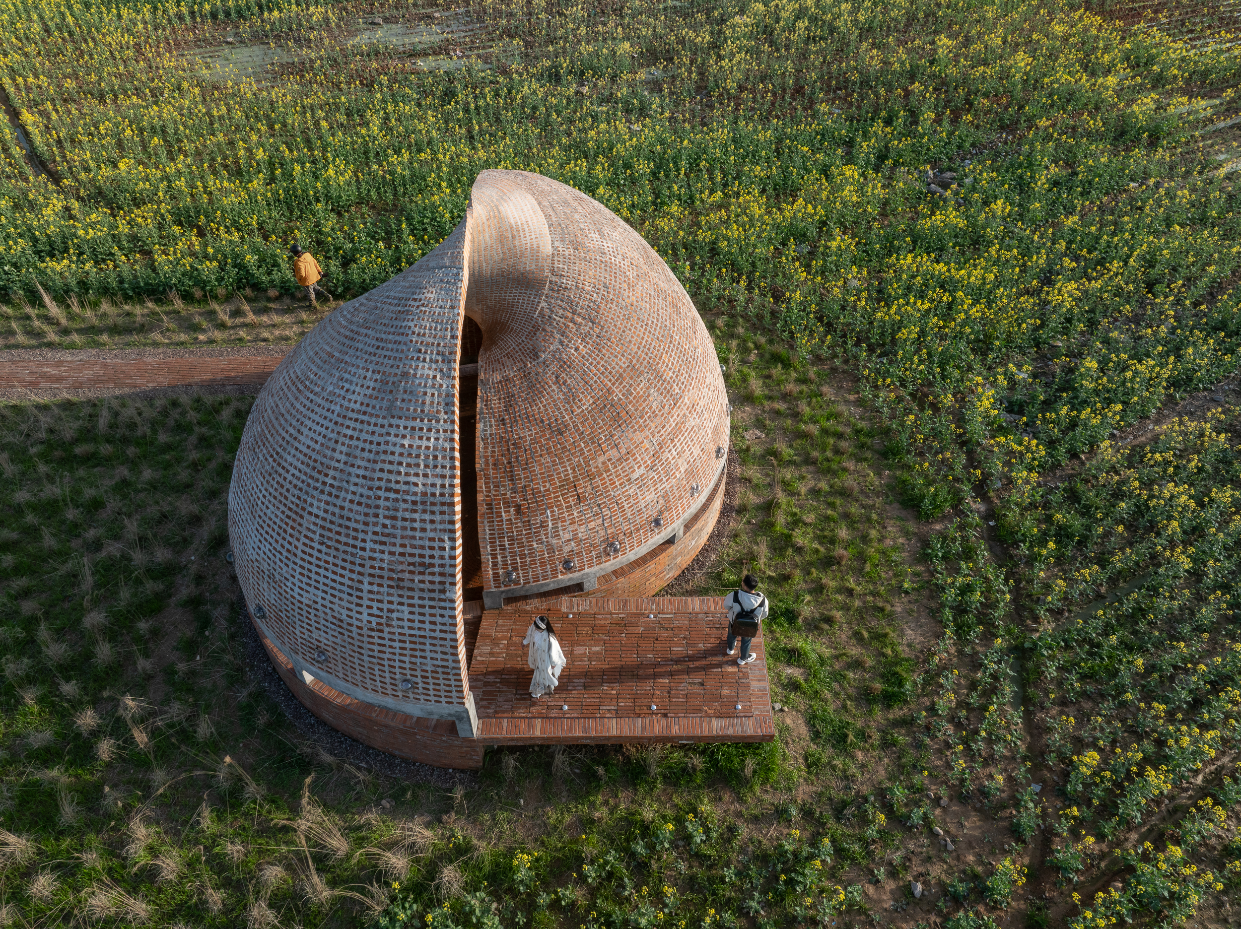 Twisted Brick Shell Concept Library by HCCH Studio - Architizer