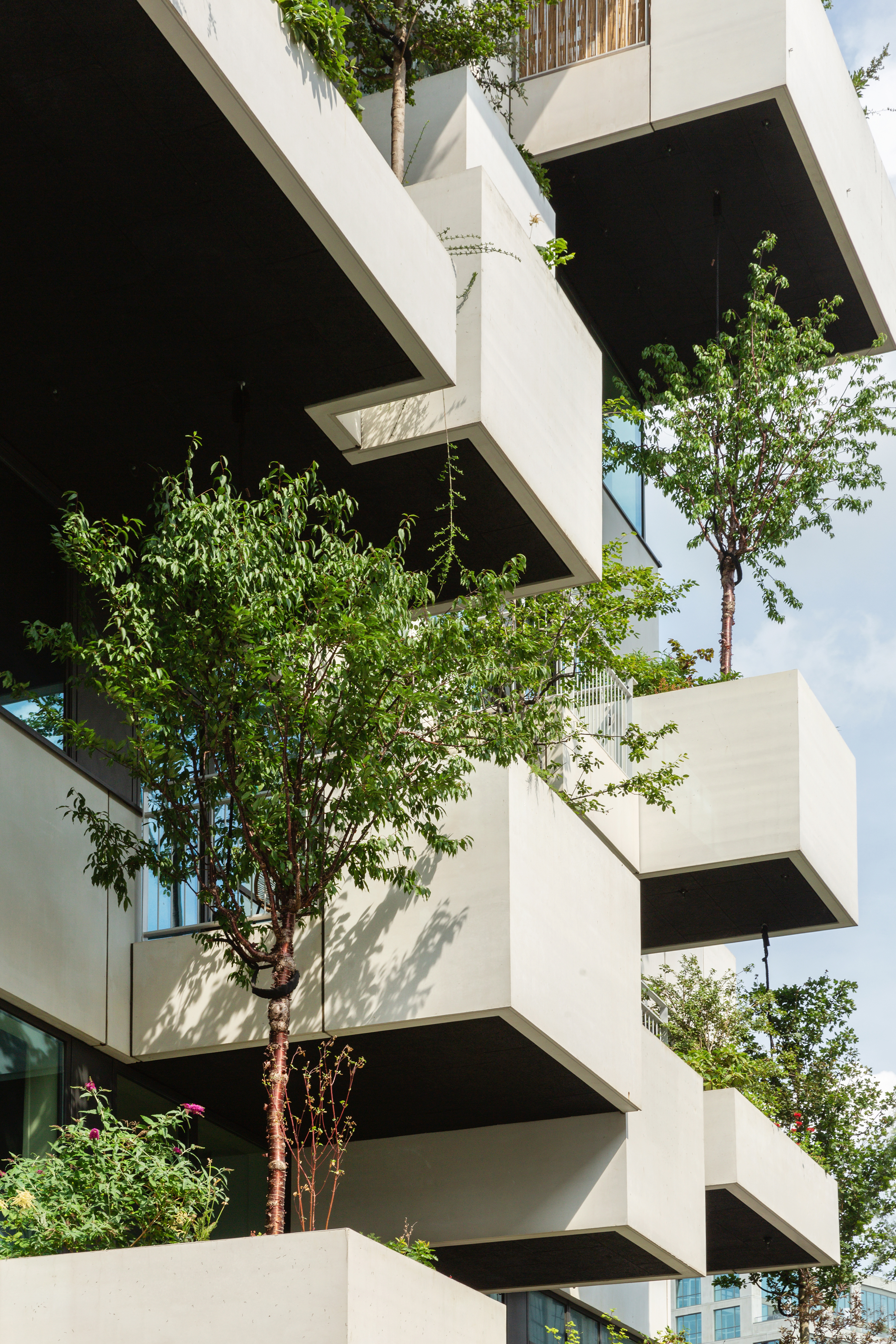 Trudo Vertical Forest by Stefano Boeri Architetti - Architizer