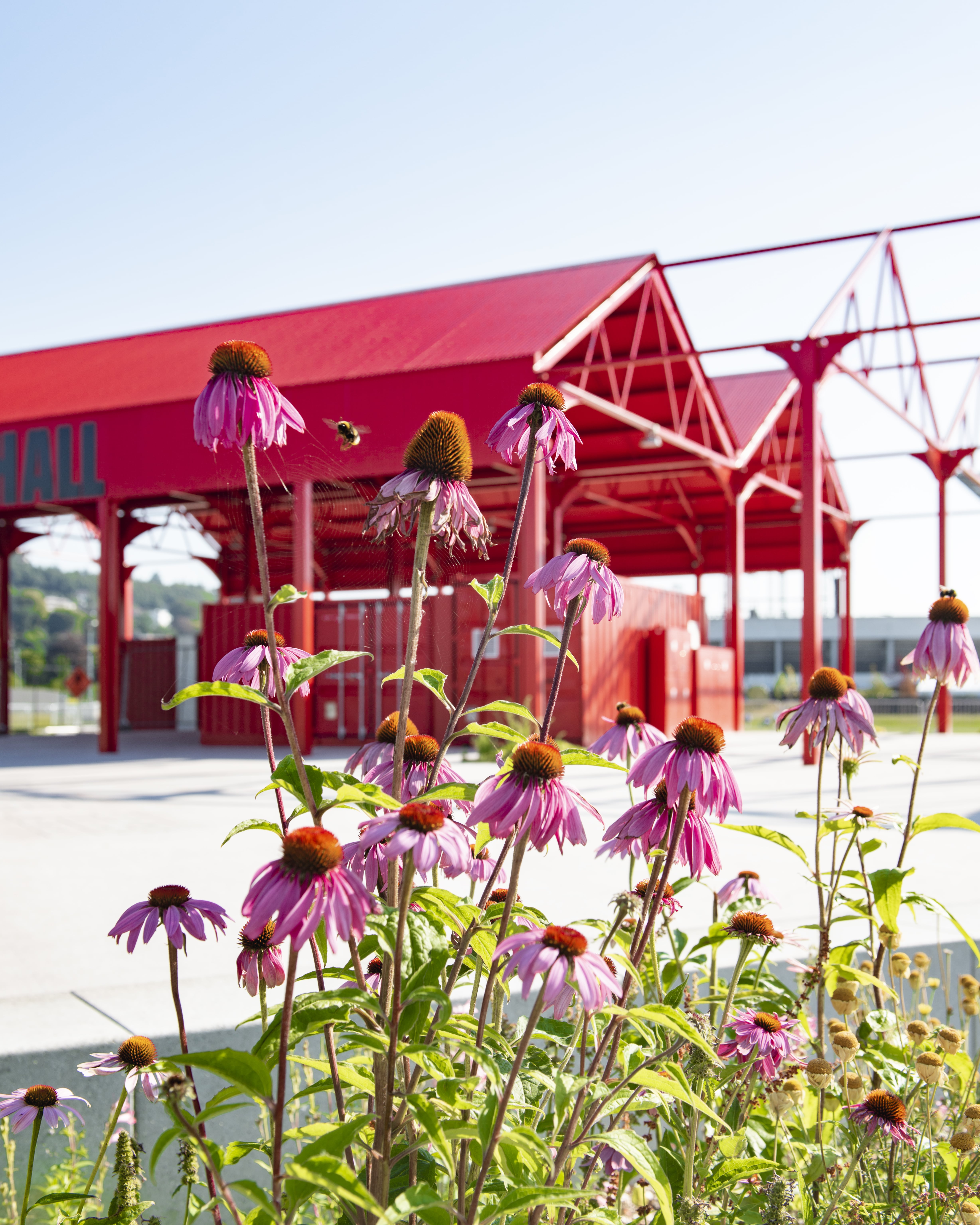 Marina Park by OKRA landscape architects - Architizer