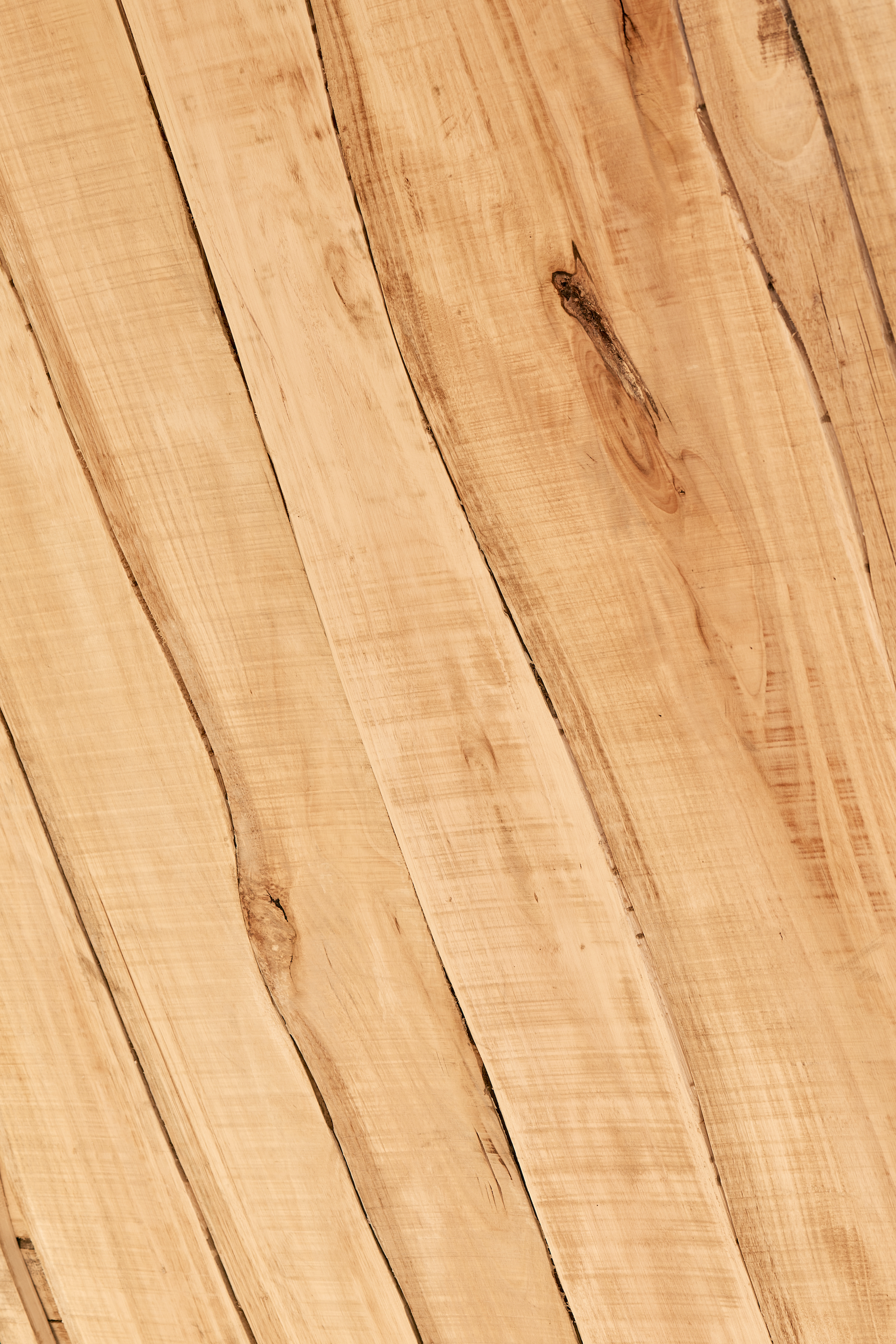 AI Timber by Maestro Technologies - Architizer