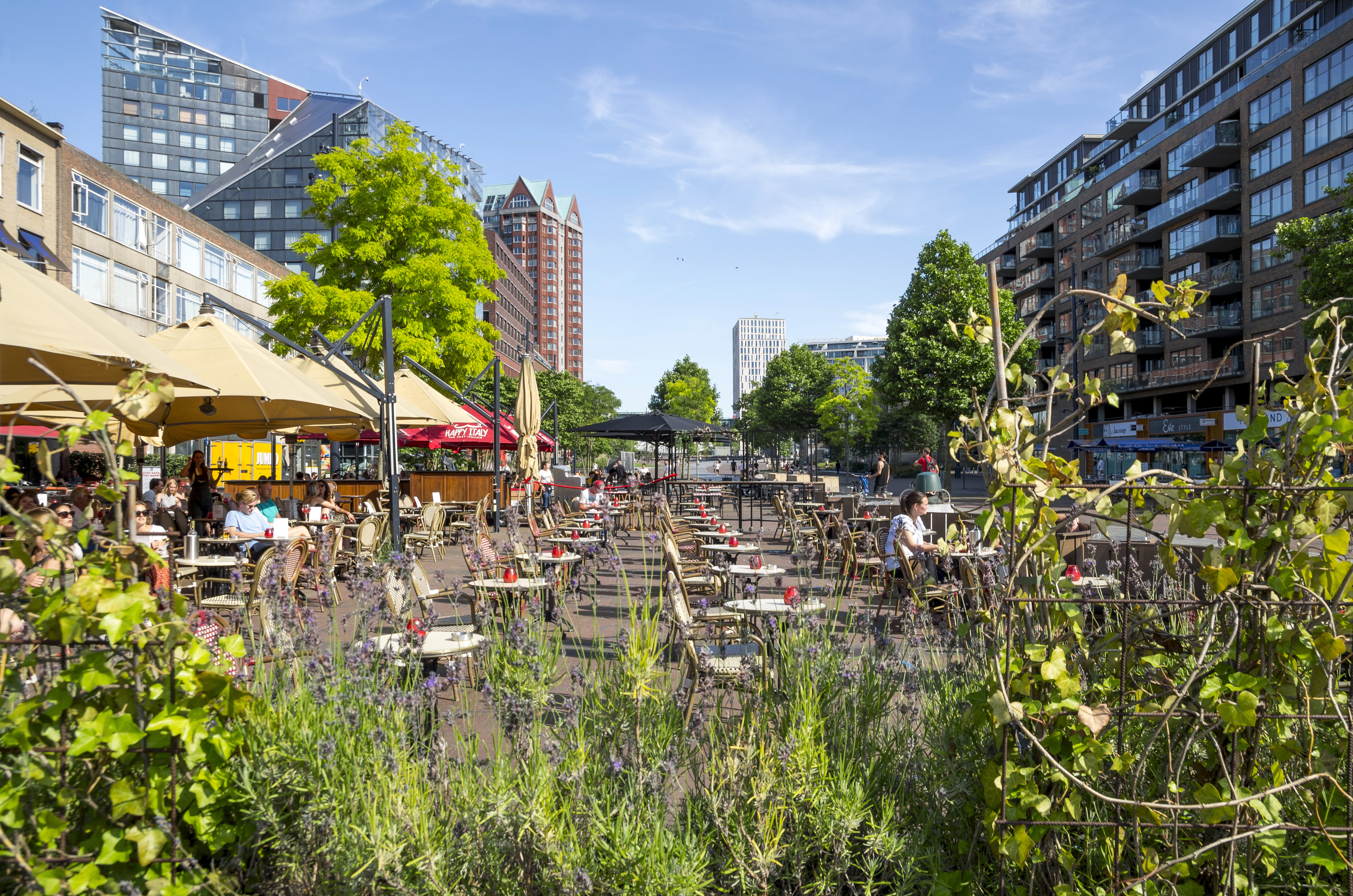 Rotterdam Binnenrotte by OKRA - Architizer