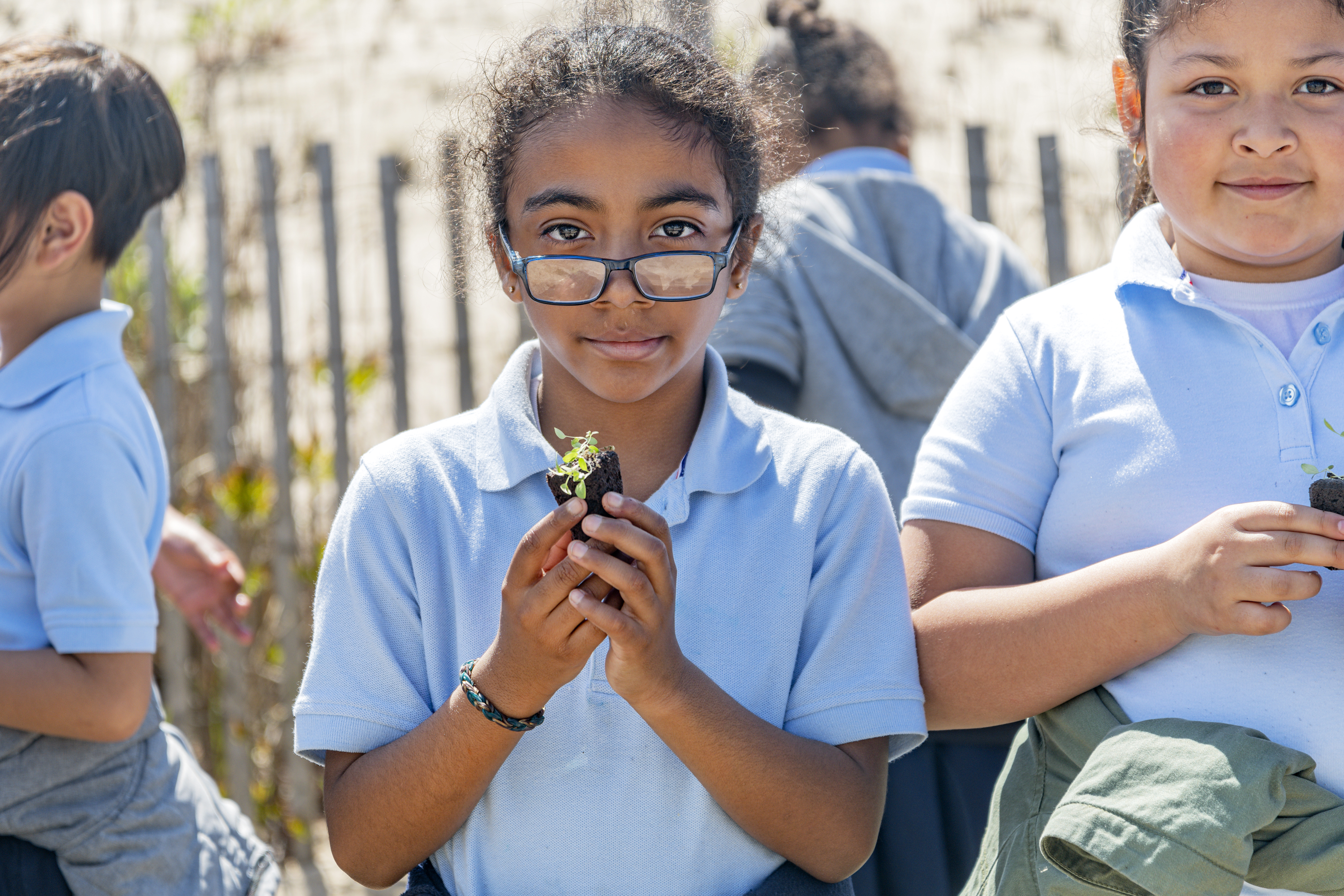 Arverne East RISE Community Hub and Nature Preserve House by WXY ...
