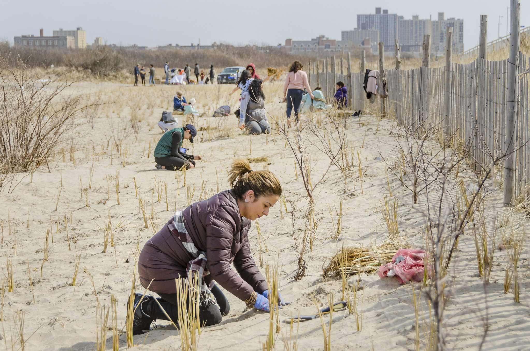 Arverne East RISE Community Hub and Nature Preserve House by WXY ...