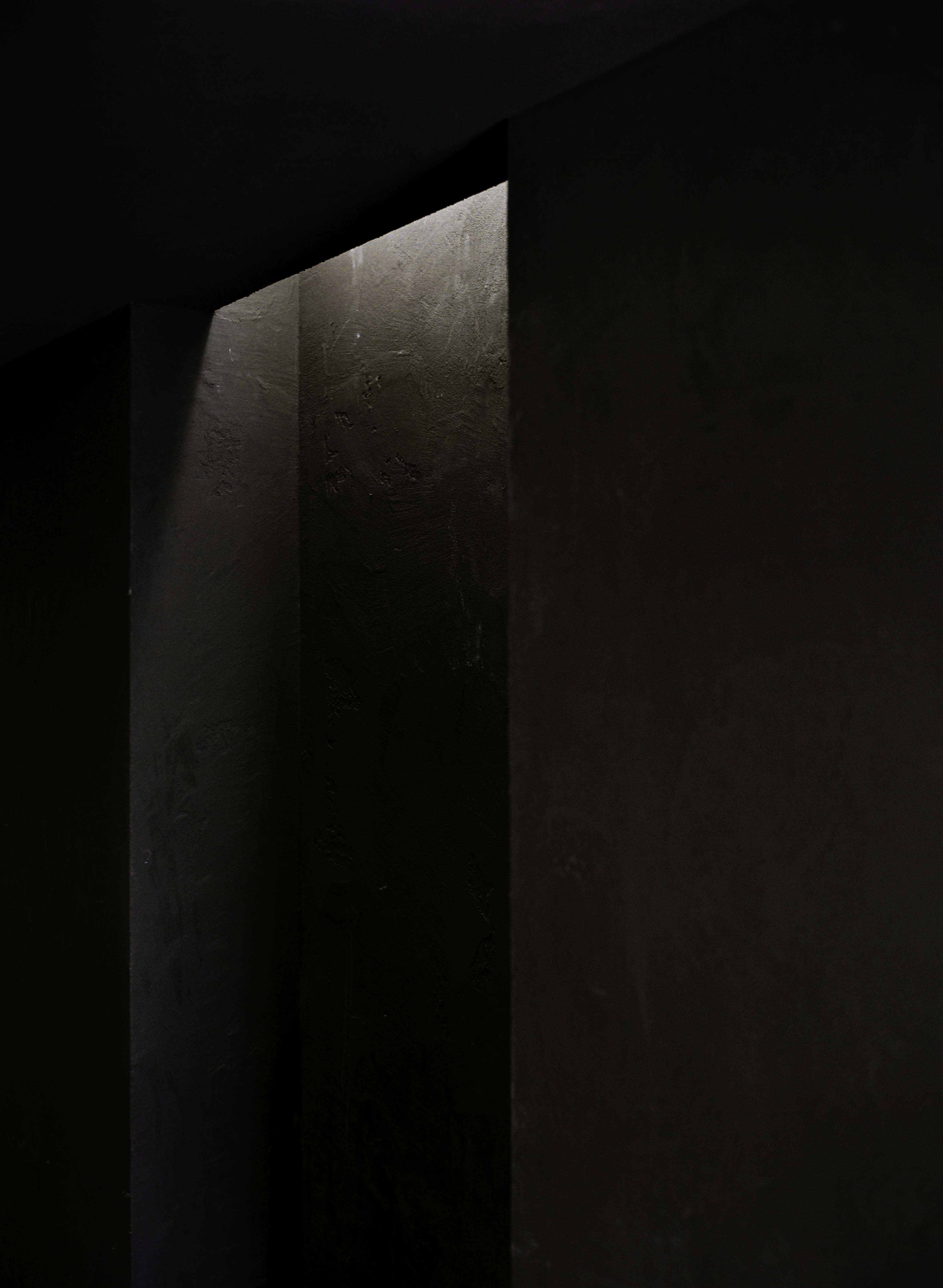 Wild Studio fashion store by Offhand Practice - Architizer