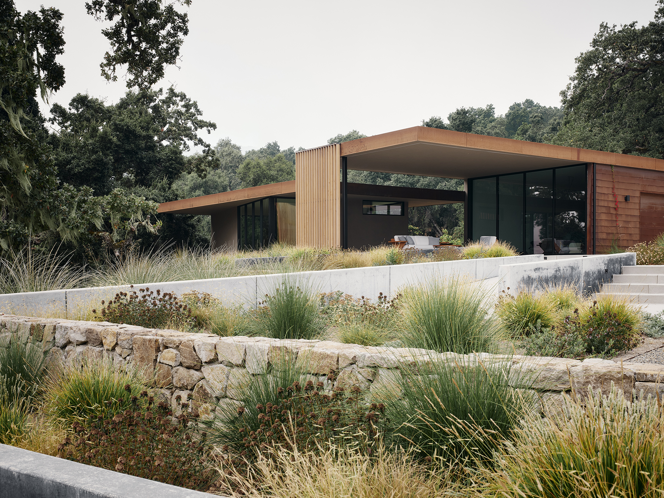 Rumsen Trace by Arterra Landscape Architects - Architizer