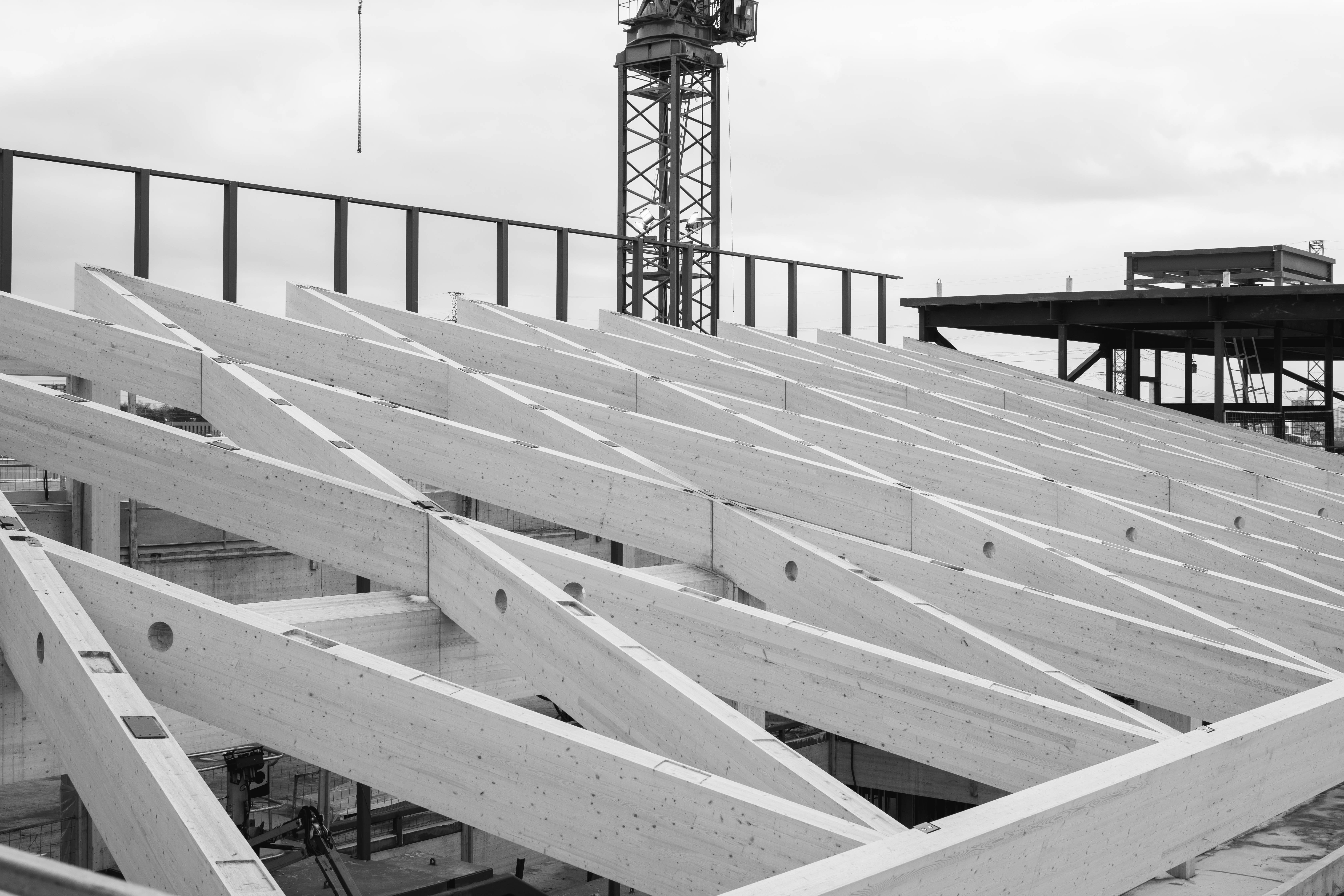 CREATING THE OSSTF WITH MASS TIMBER by Salina Kassam PHOTOGRAPHY ...