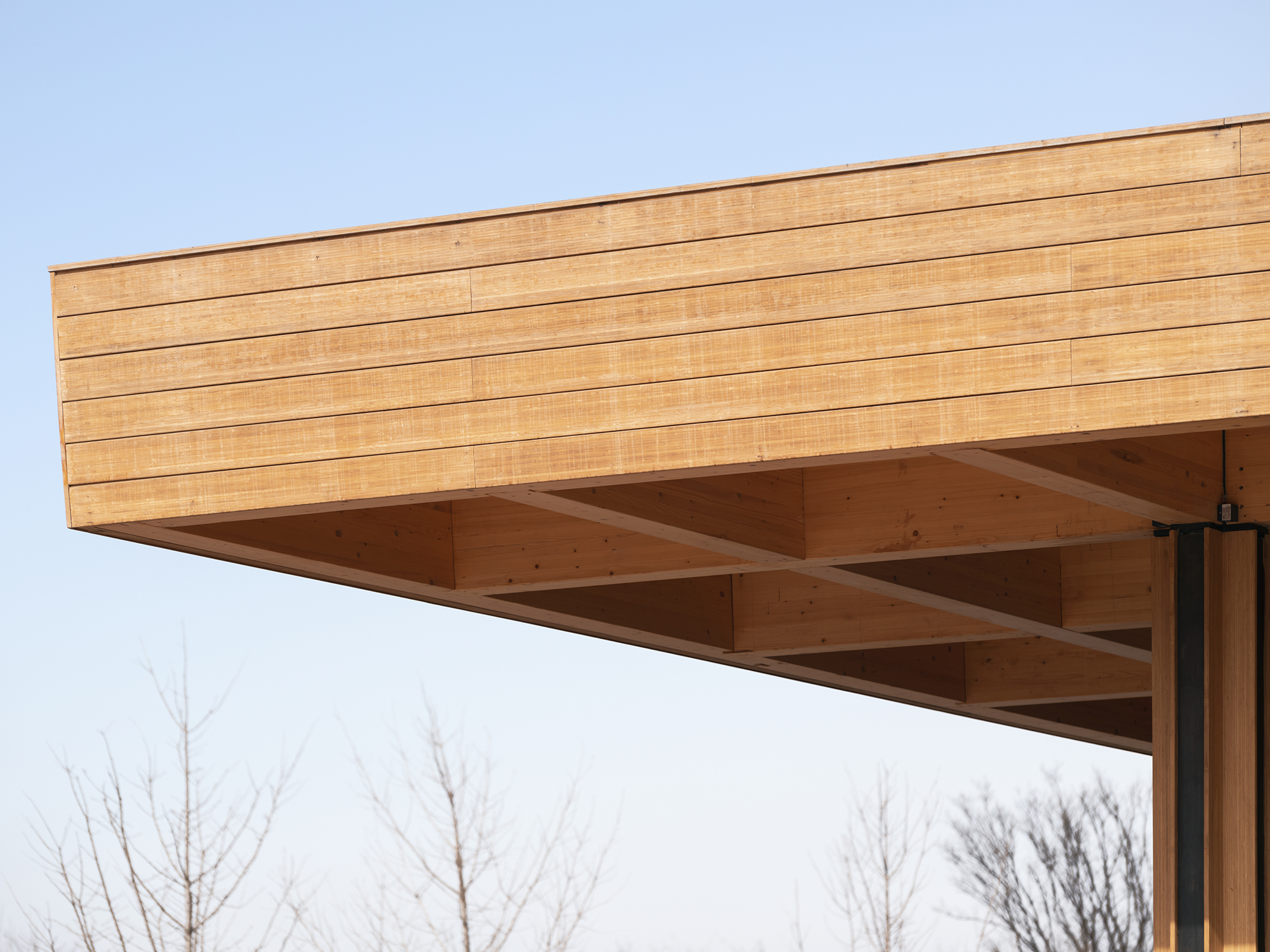 Idea 3929208: PULO MARKET by a9a rchitects in Zhengzhou, China - Architizer