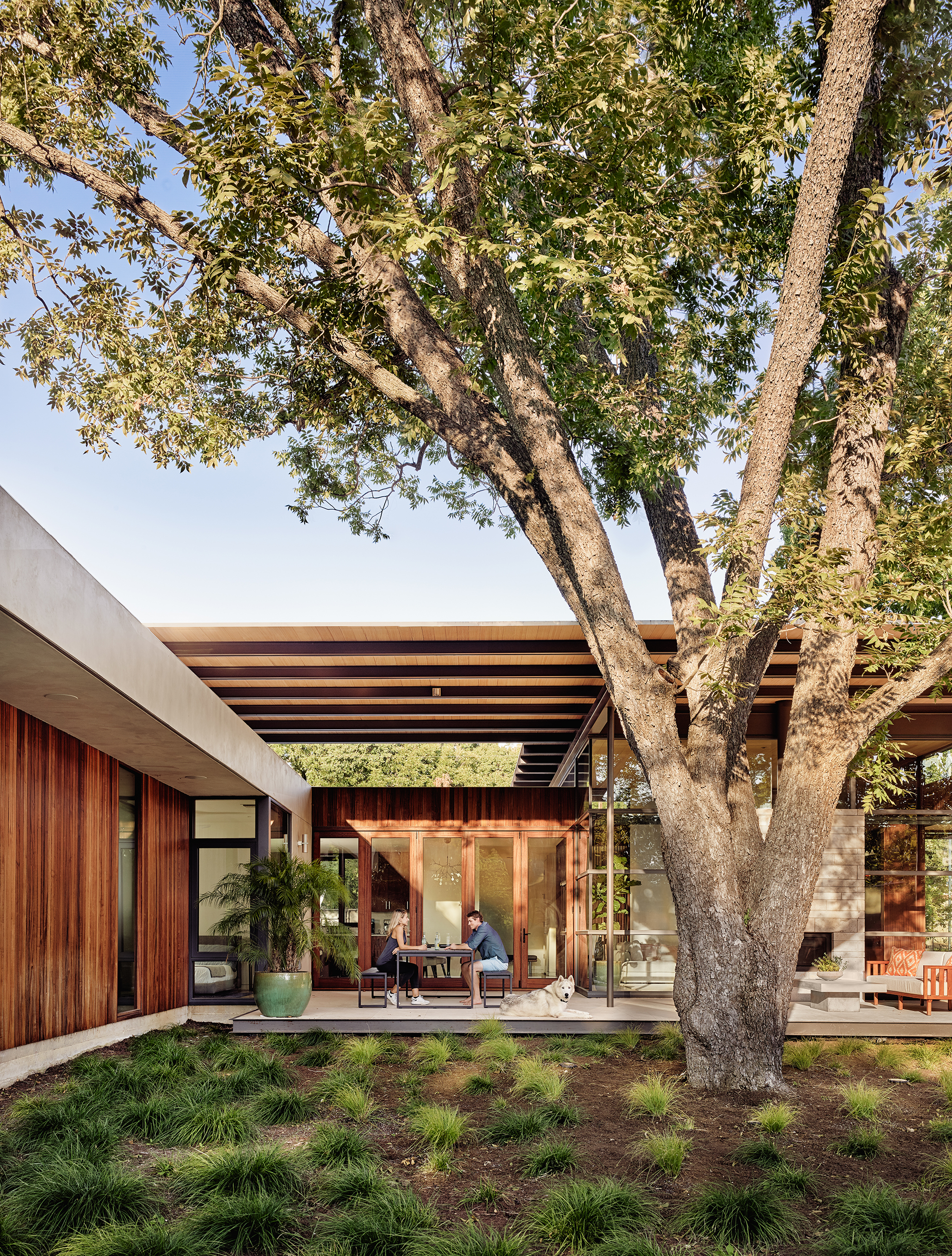 Canopy House by A Parallel Architecture - Architizer