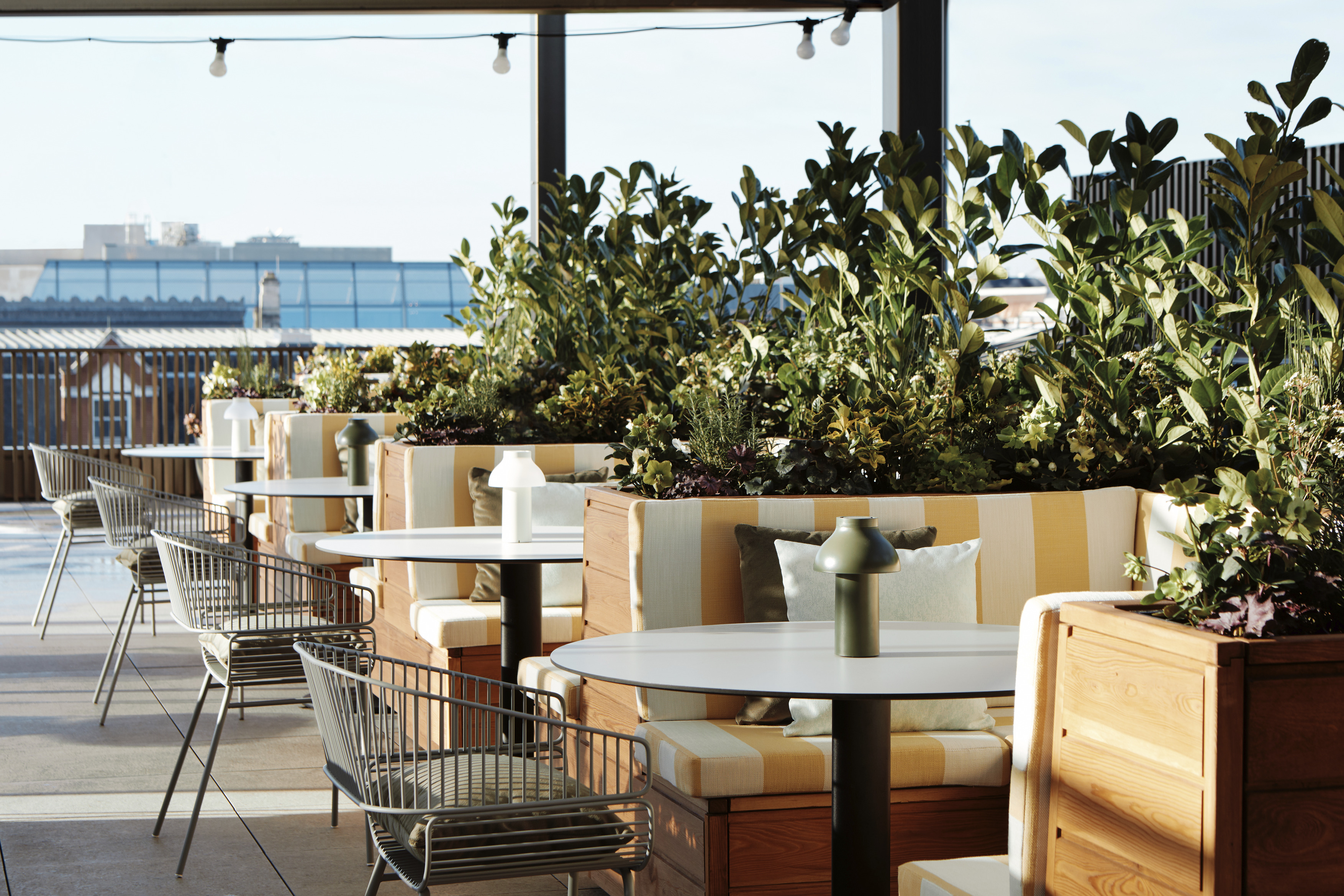 Carnaby Club by Buckley Gray Yeoman - Architizer