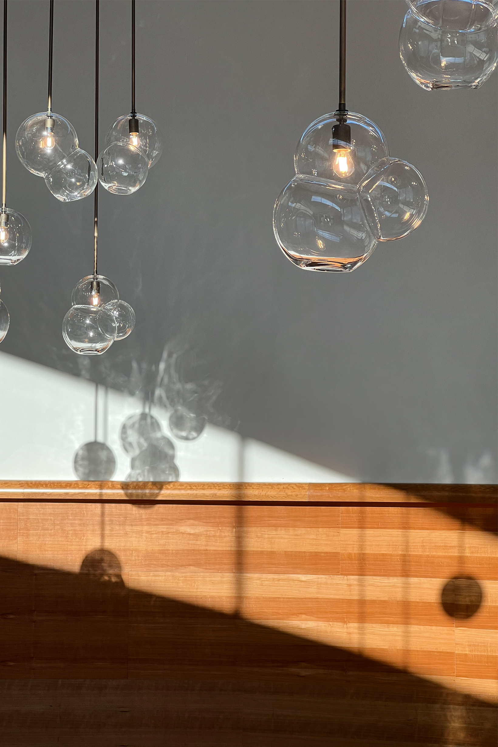 Rubenstein Commons, Institute for Advanced Study by Steven Holl ...