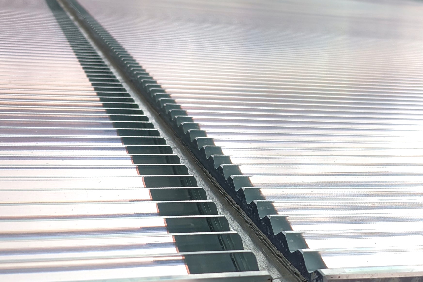 Rubenstein Commons, Institute for Advanced Study by Steven Holl ...