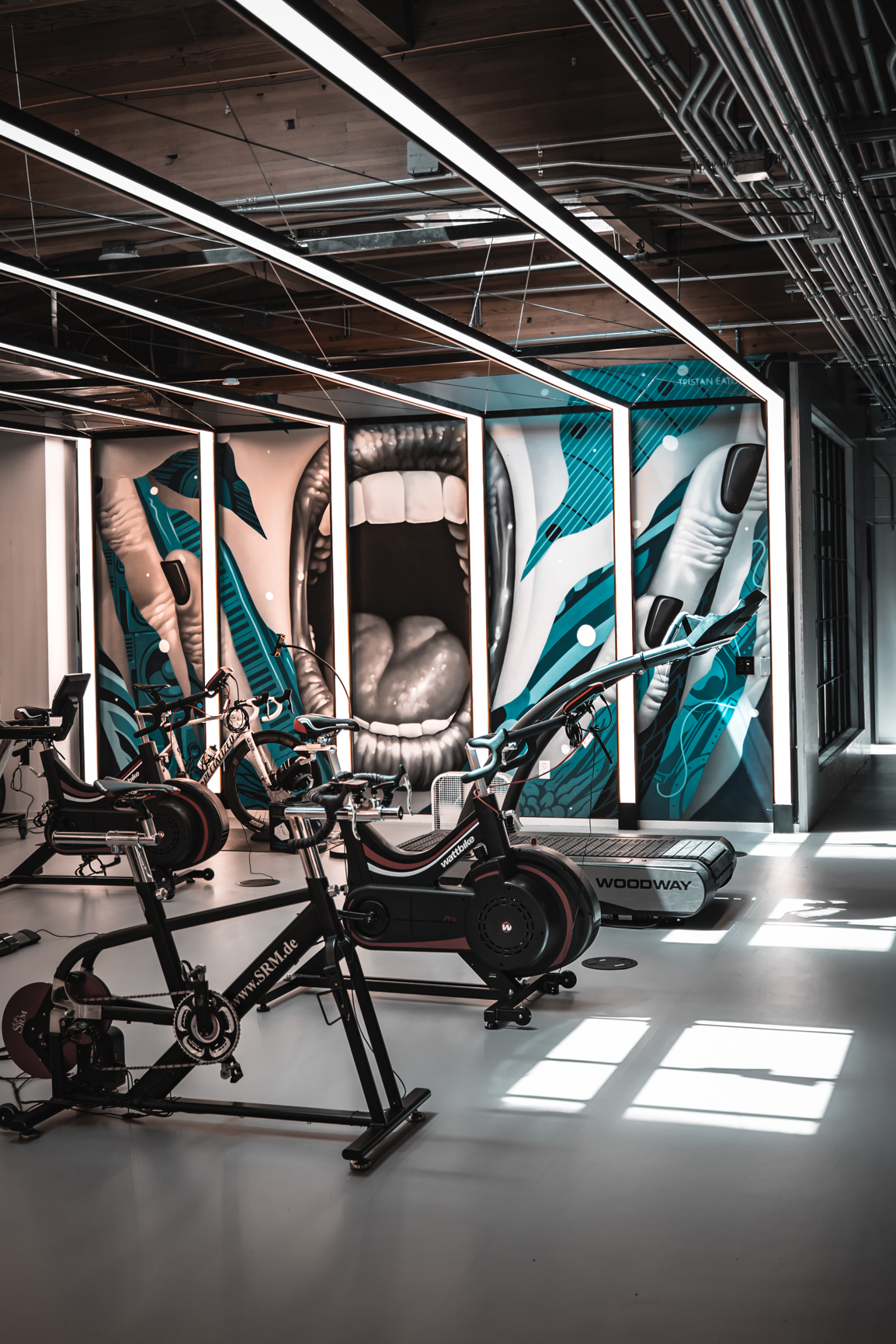 Red Bull Athlete Performance Center by MUL-MAC - Architizer