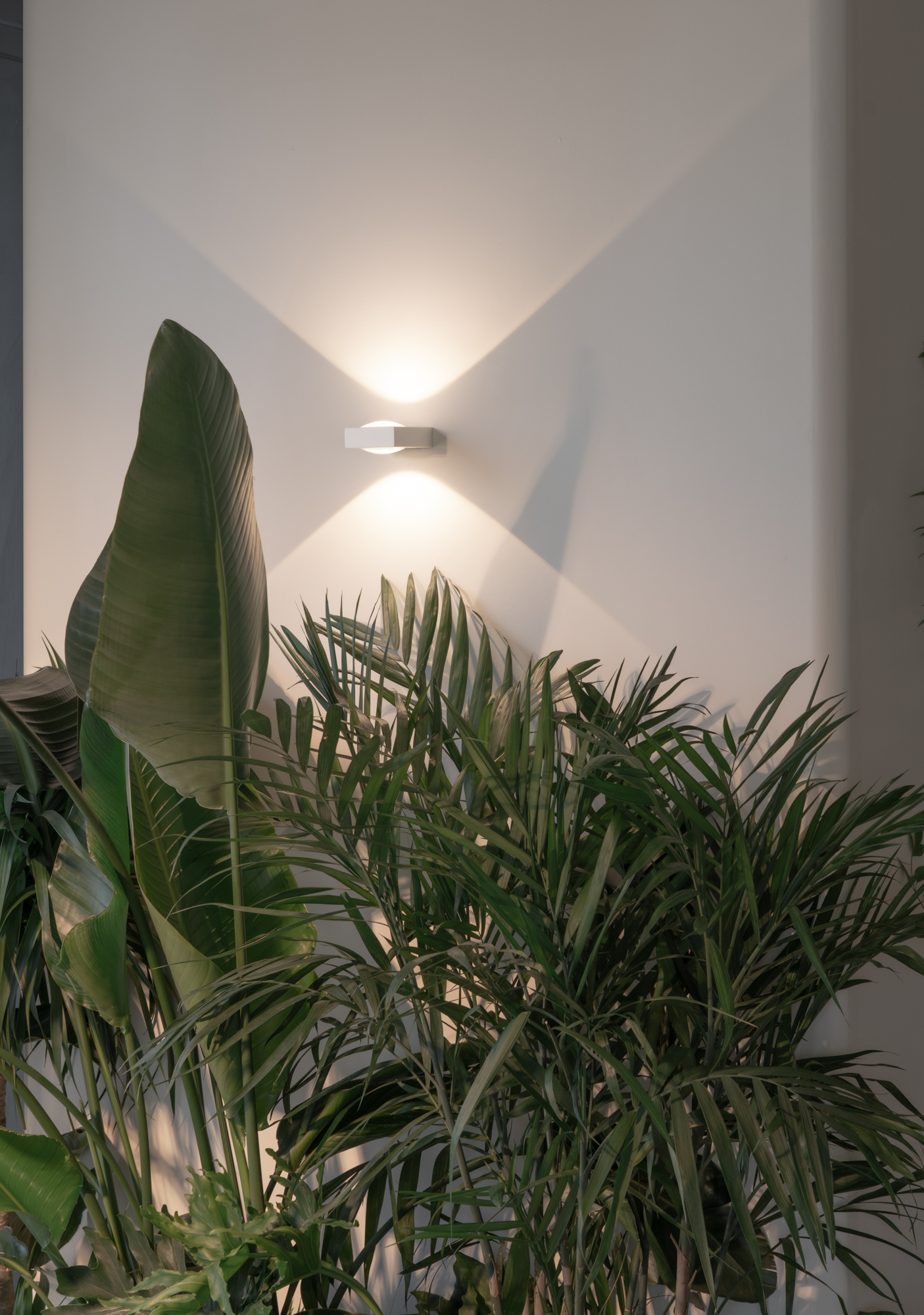 Sublime Health technology by Lu design - Architizer