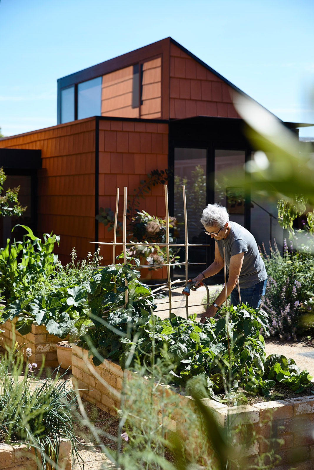 Idea 3940012: Terracotta House by Austin Maynard Architects in ...