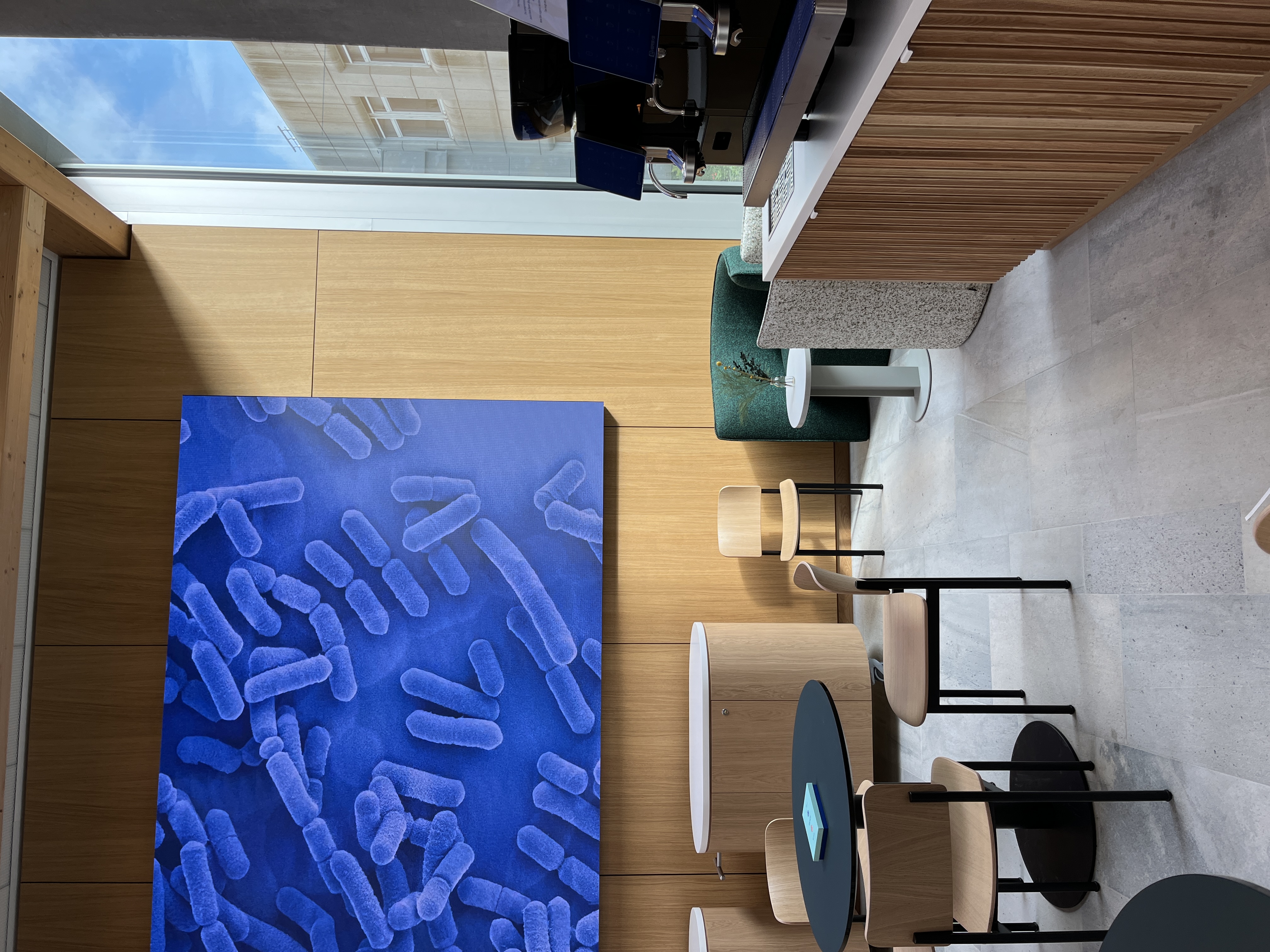 Novonesis Innovation Campus by LAIKA Rumdesign A/S - Architizer