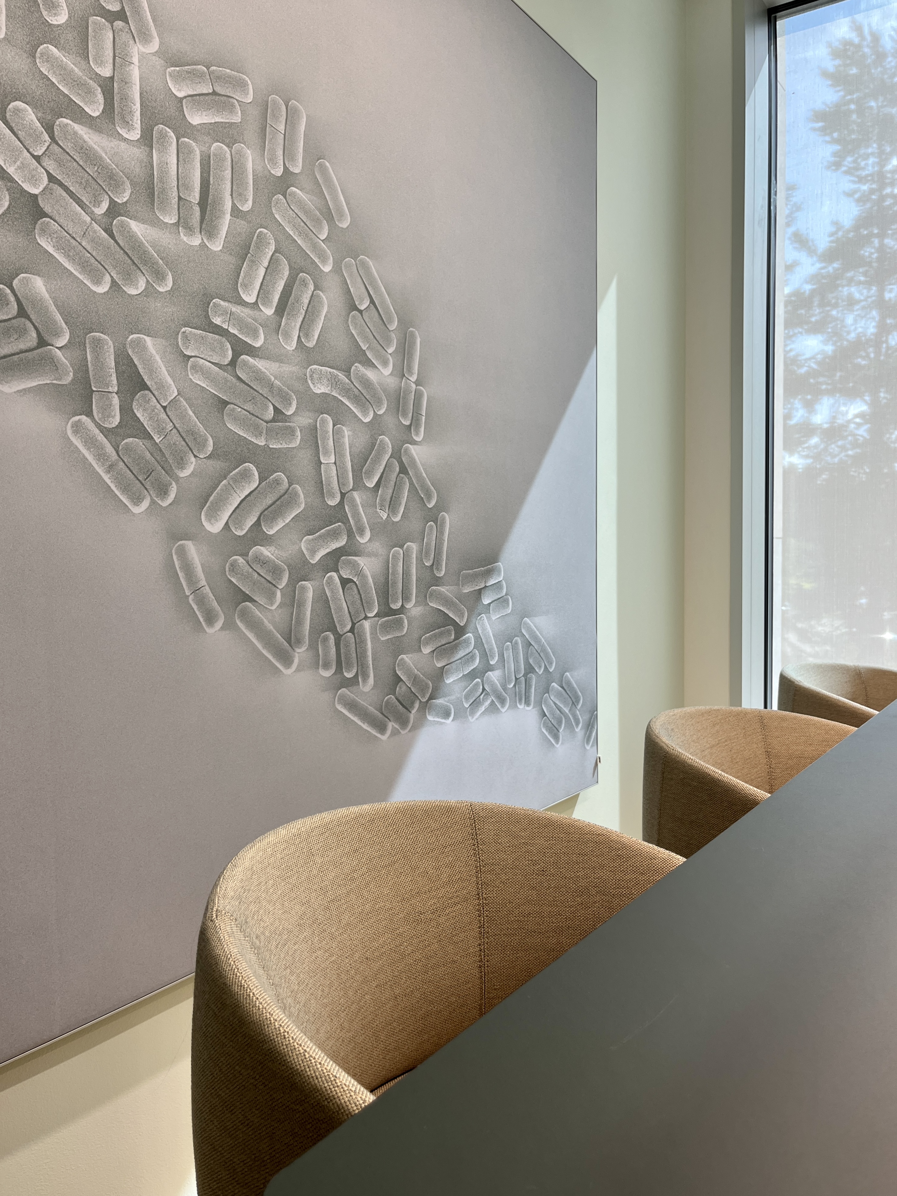 Novonesis Innovation Campus by LAIKA Rumdesign A/S - Architizer