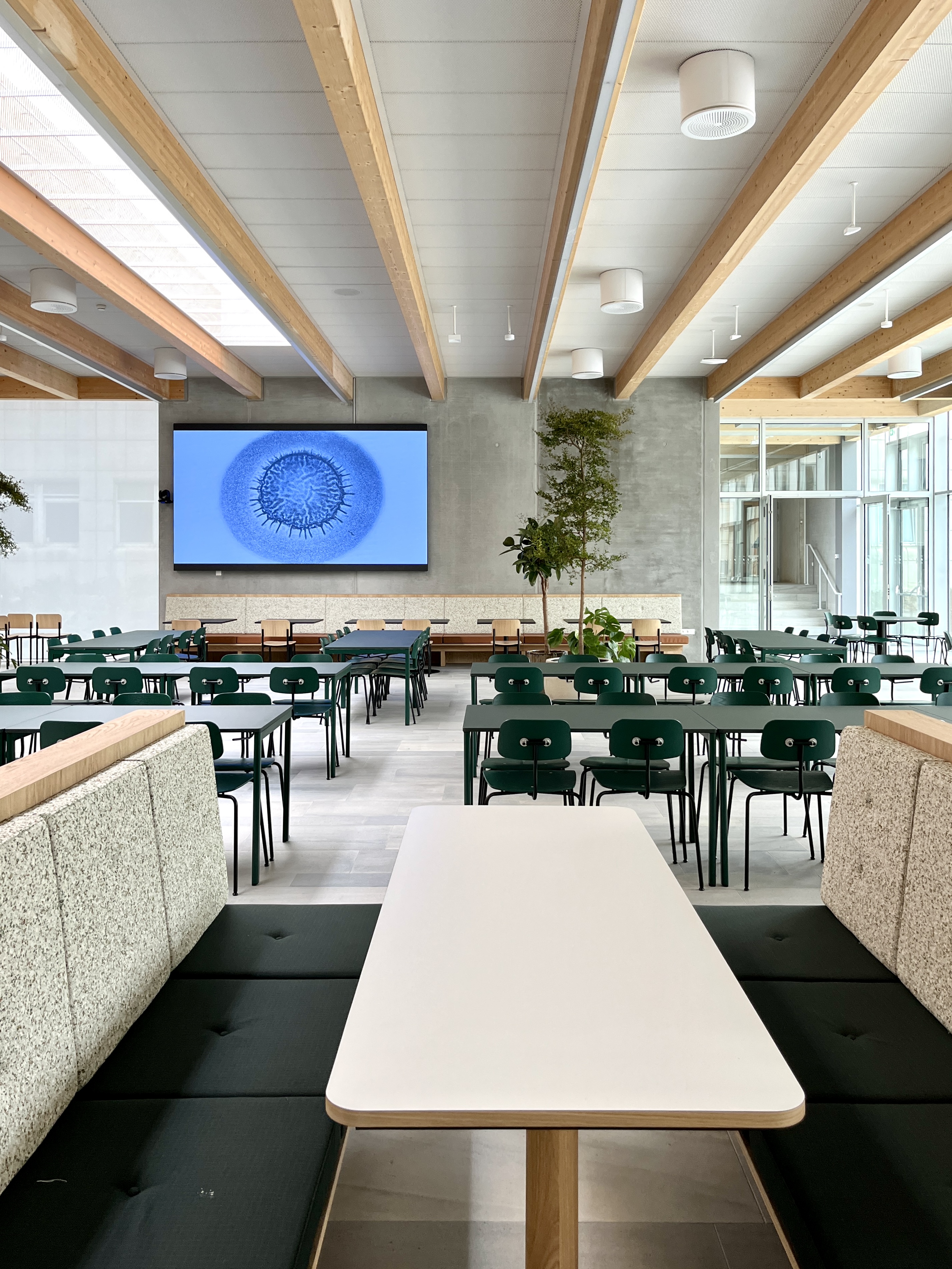 Novonesis Innovation Campus by LAIKA Rumdesign A/S - Architizer