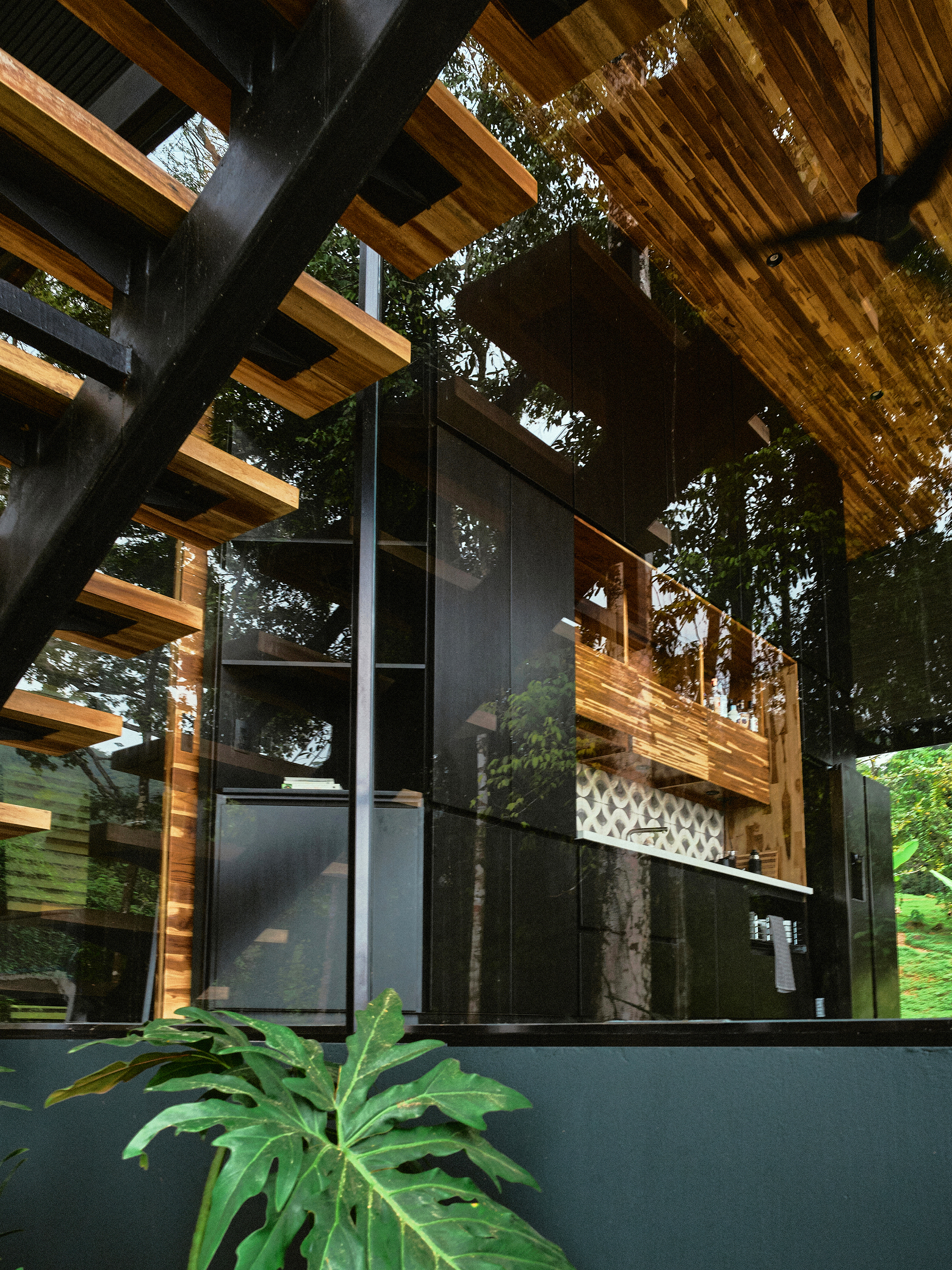 Black House (Casa Negra) by A-01 (A Company / A Foundation) - Architizer