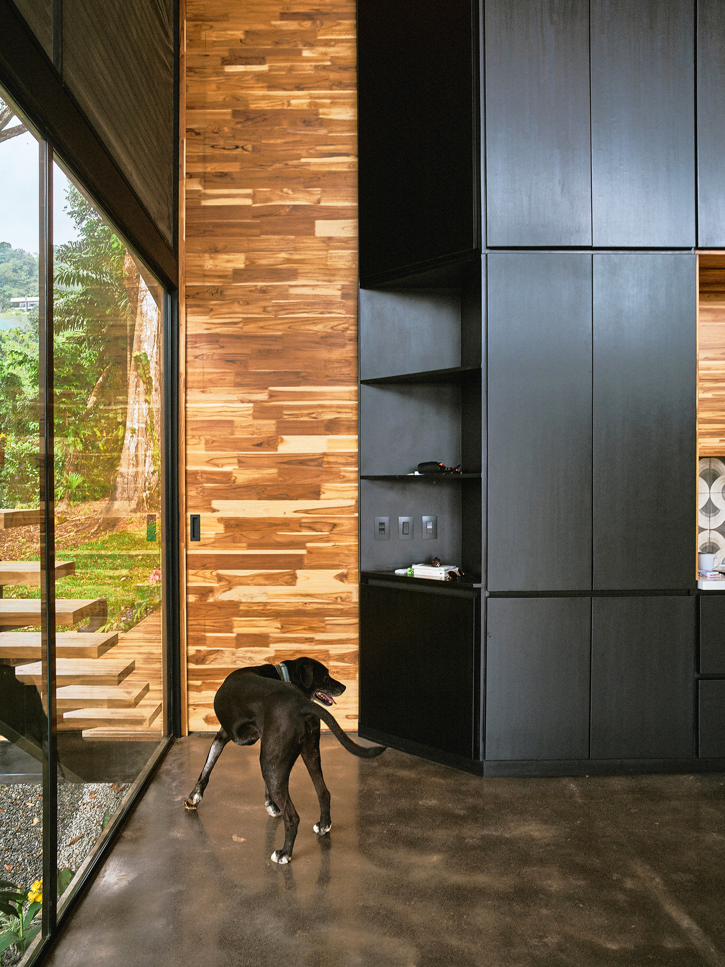 Black House (Casa Negra) by A-01 (A Company / A Foundation) - Architizer