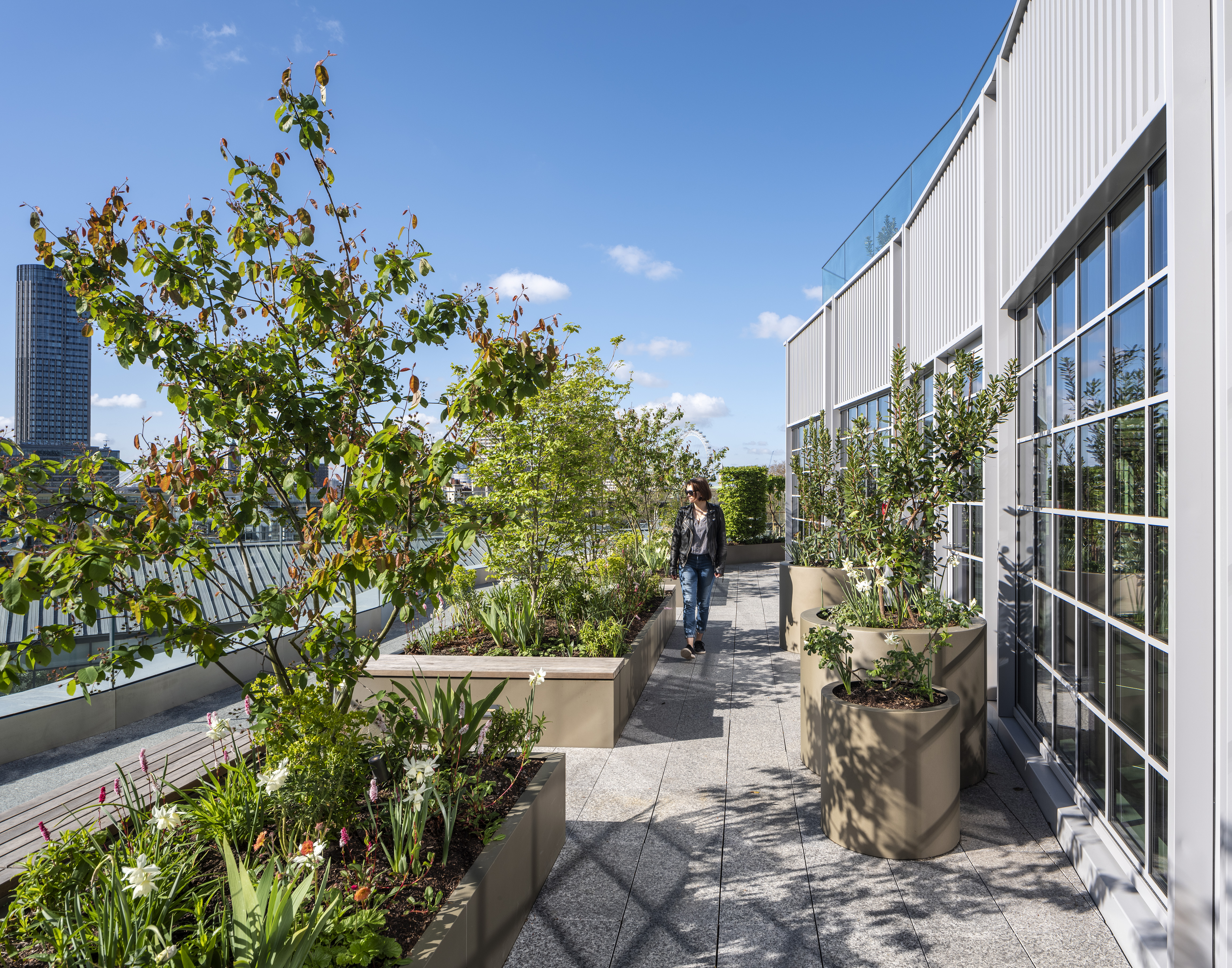 The Northcliffe by John Robertson Architects (JRA) - Architizer