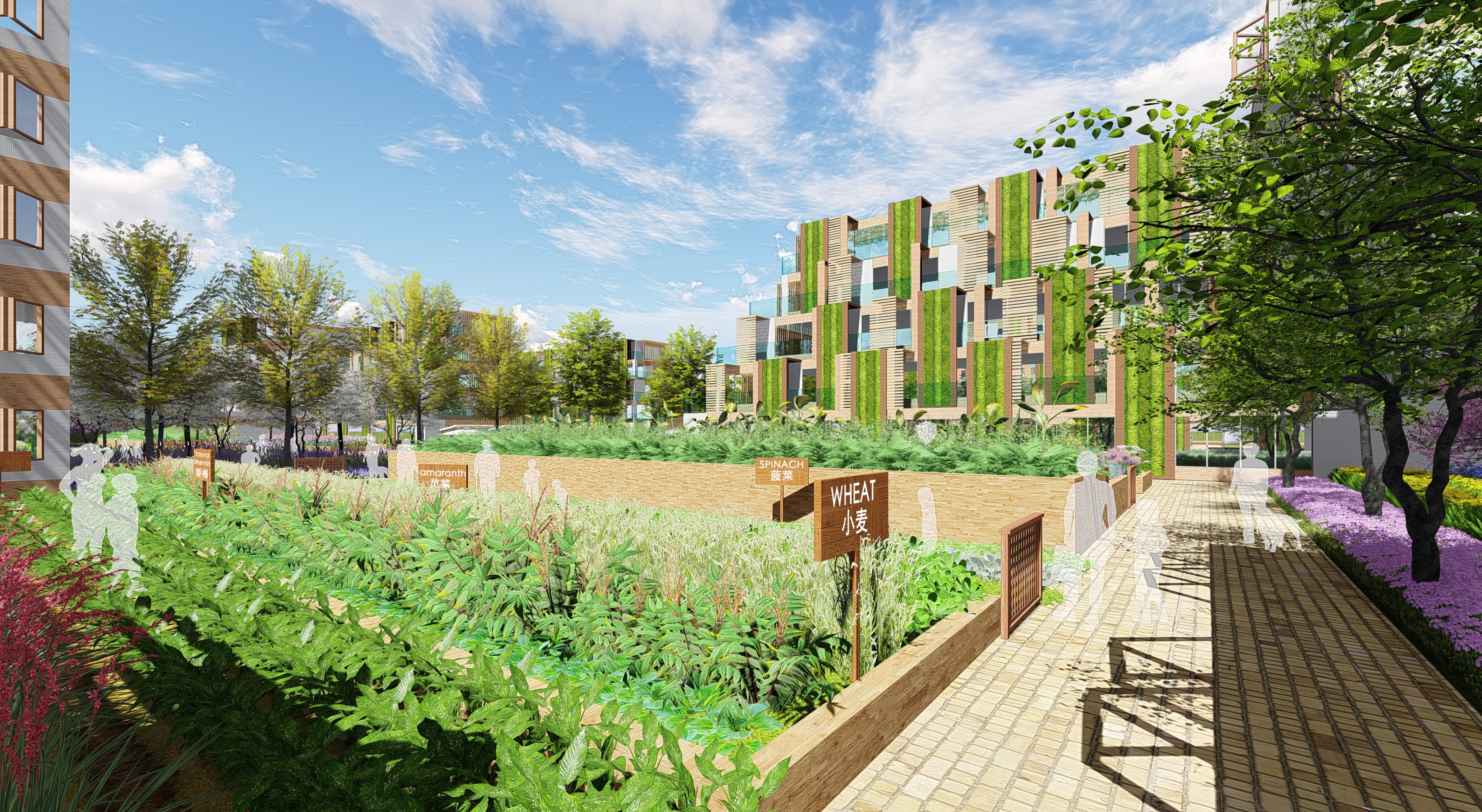 Conceptual planning and urban design for Sino-German future city by ...