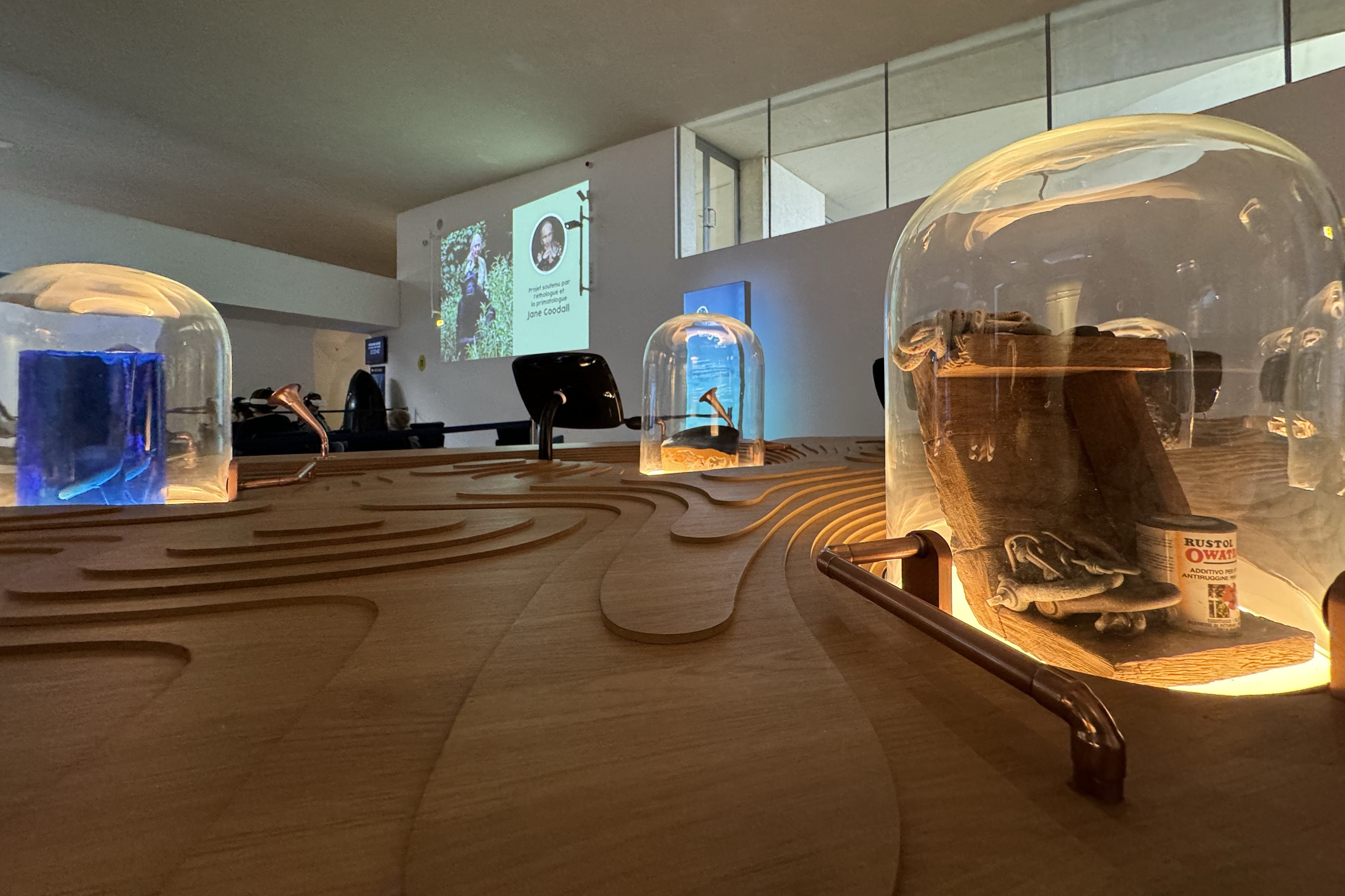 INTERACTIVE OLFACTORY INSTALLATION. SCENTED SHORE by Indissoluble S.L ...