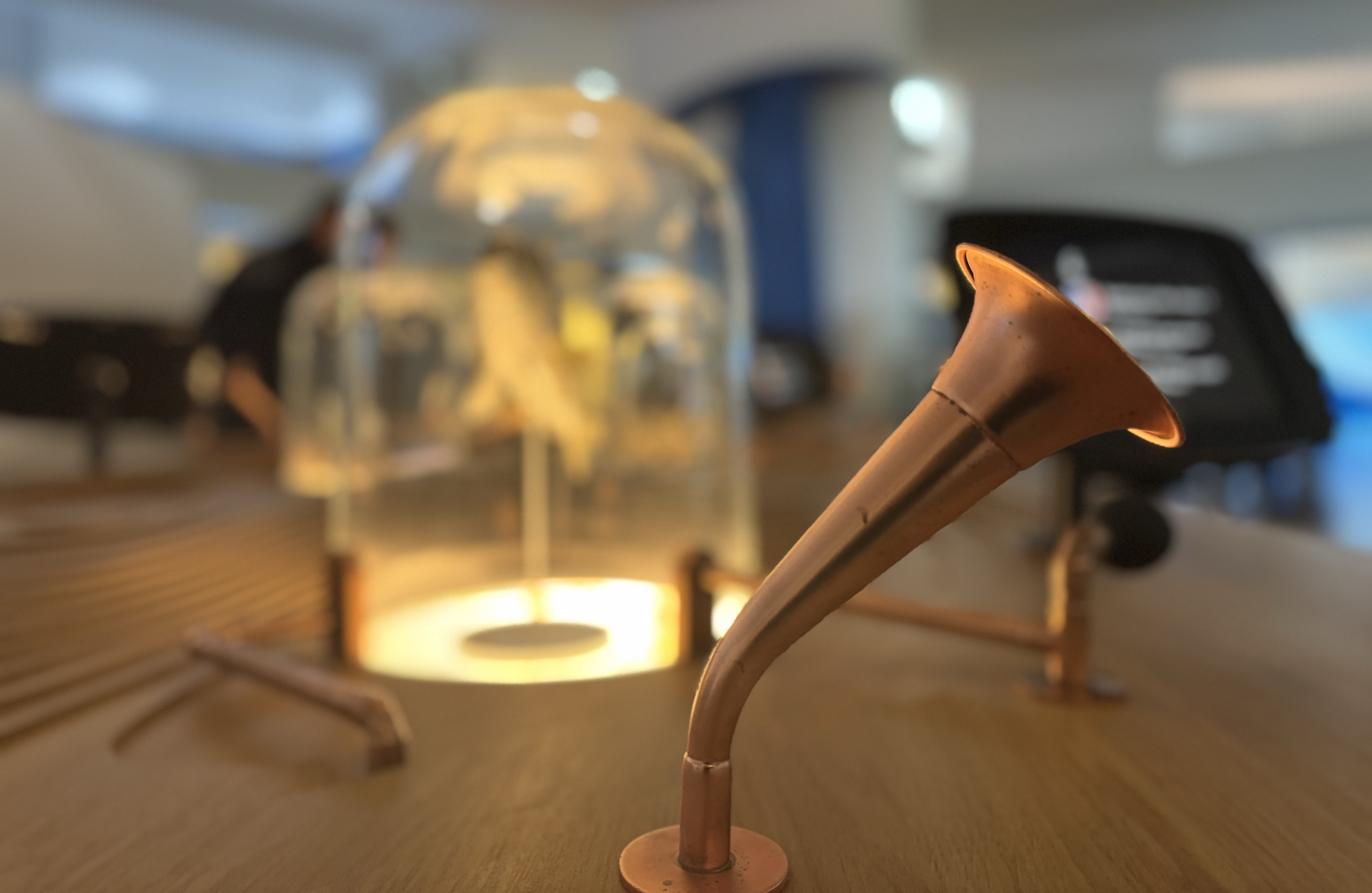 INTERACTIVE OLFACTORY INSTALLATION. SCENTED SHORE by Indissoluble S.L ...
