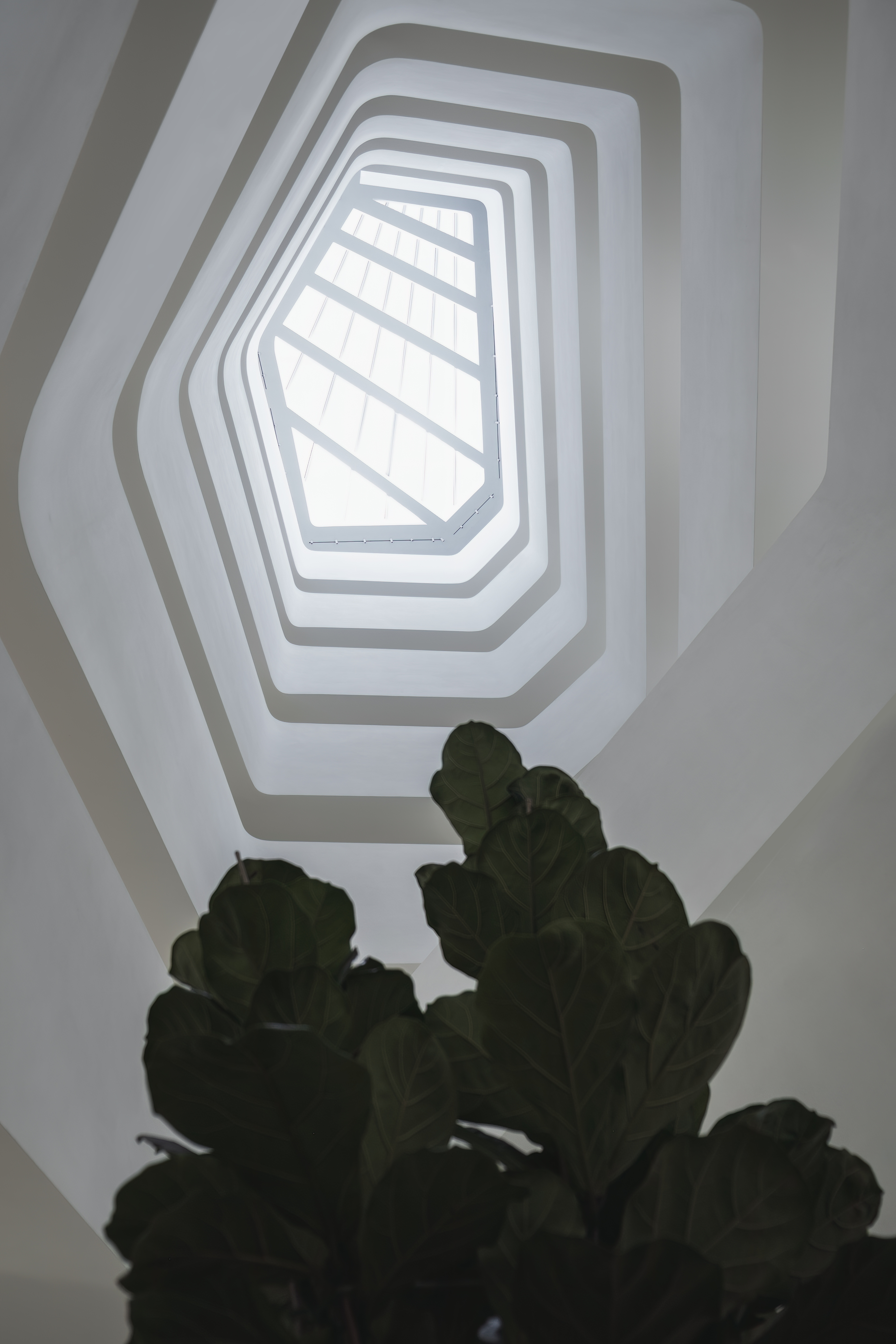 Sidera by tissellistudioarchitetti - Architizer