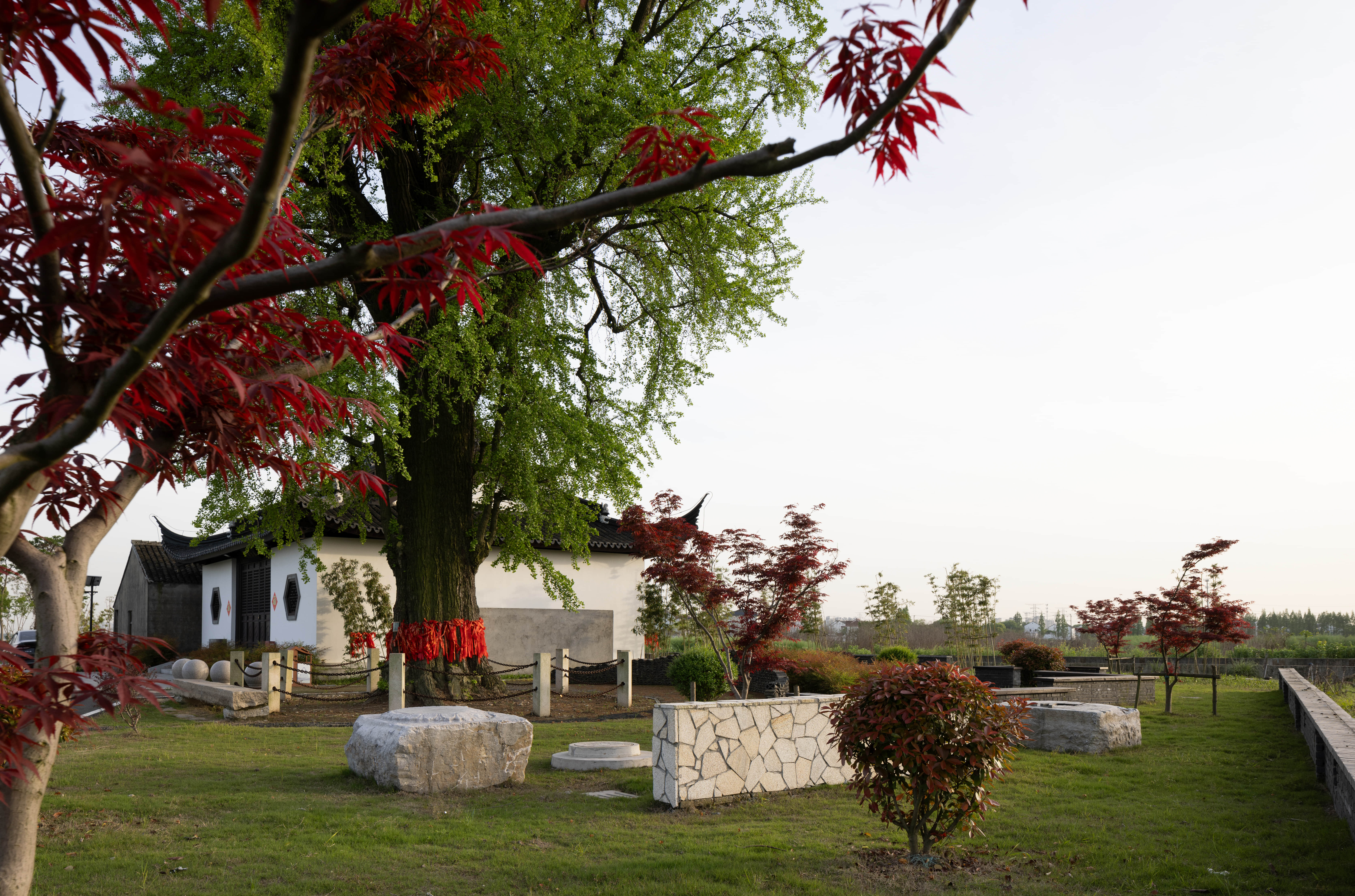 Rural Transformation Practice by Parallect Design - Architizer