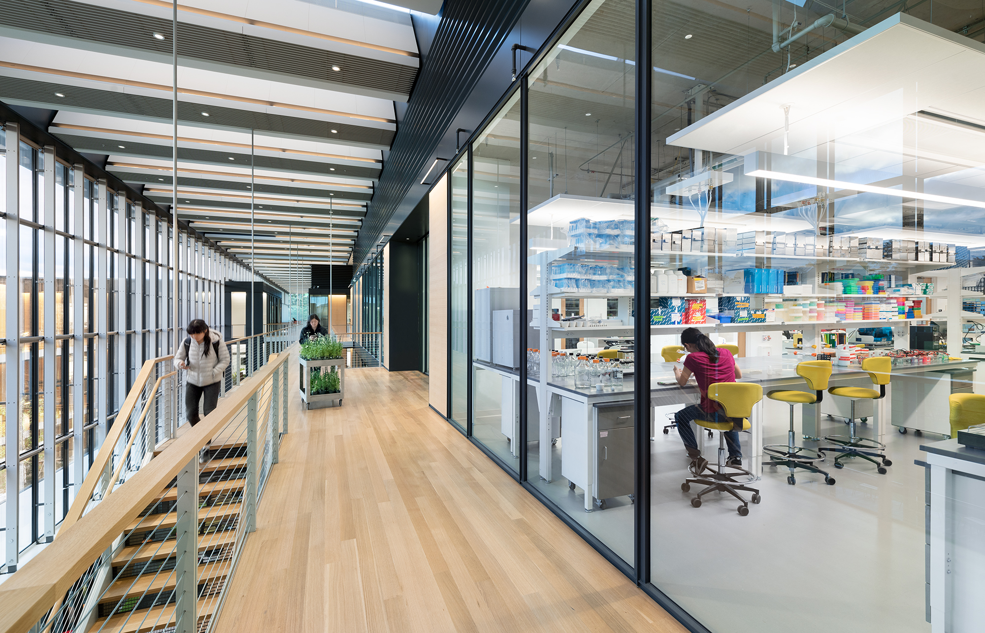 Amherst College, New Science Center by PAYETTE - Architizer