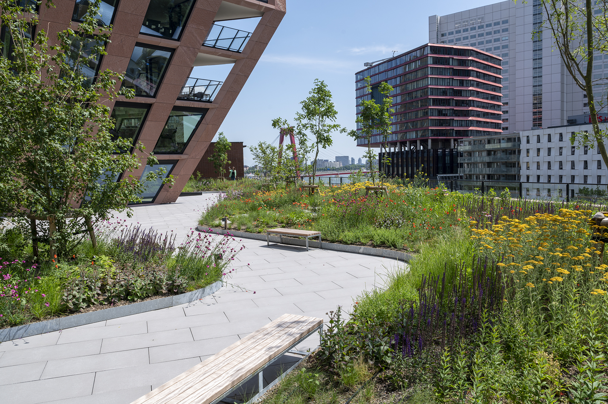 The Muse & CasaNova by Barcode Architects - Architizer