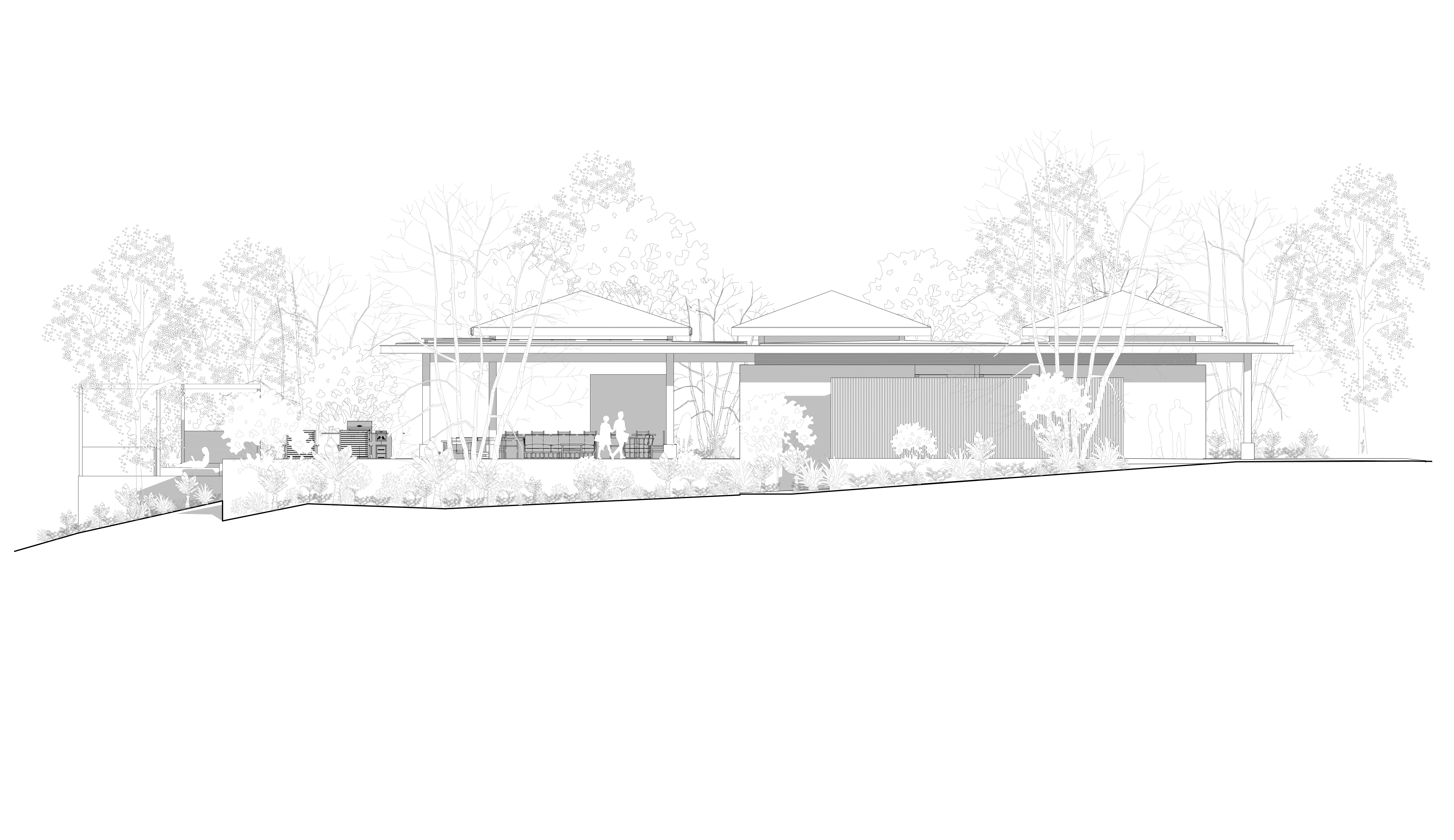 Pasha by Studio Saxe - Architizer