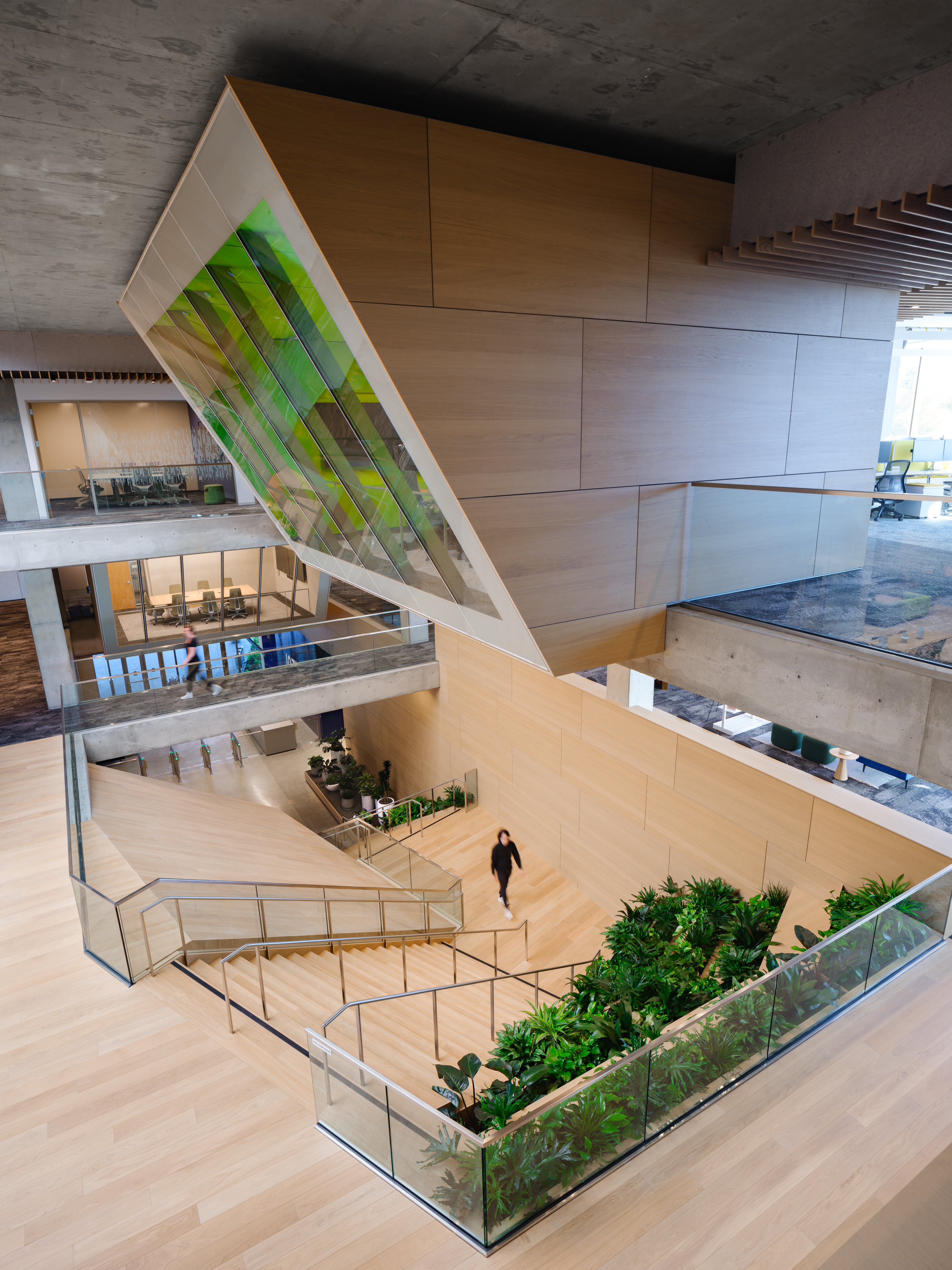 Intuit MTV-22 Bayshore Building by Clive Wilkinson Architects - Architizer