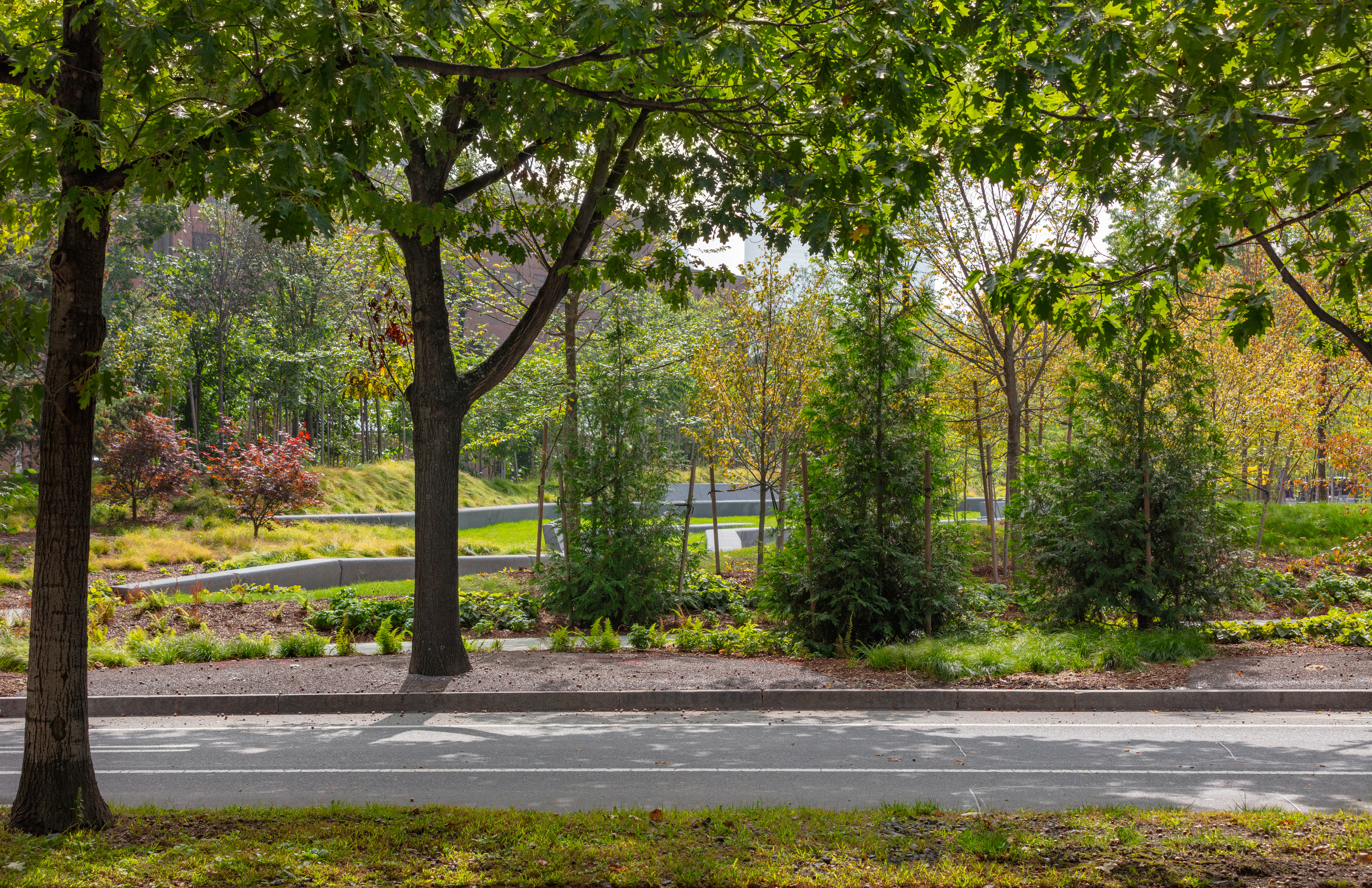 Triangle Park Urban Forest by Stoss Landscape Urbanism - Architizer